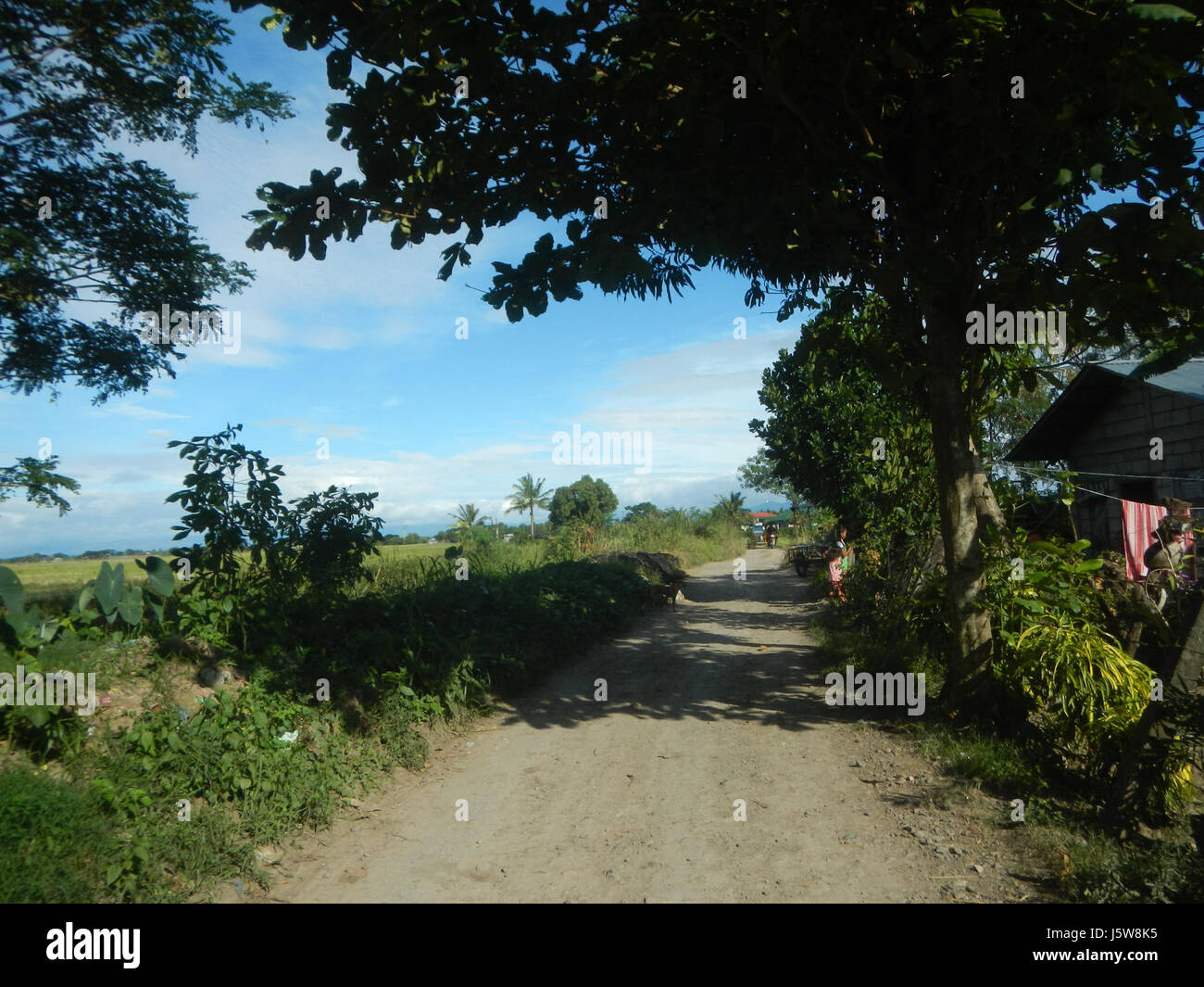 0101 Sitio Pinagpala Extension Bulualto San Miguel Bulacan Farm Market ...