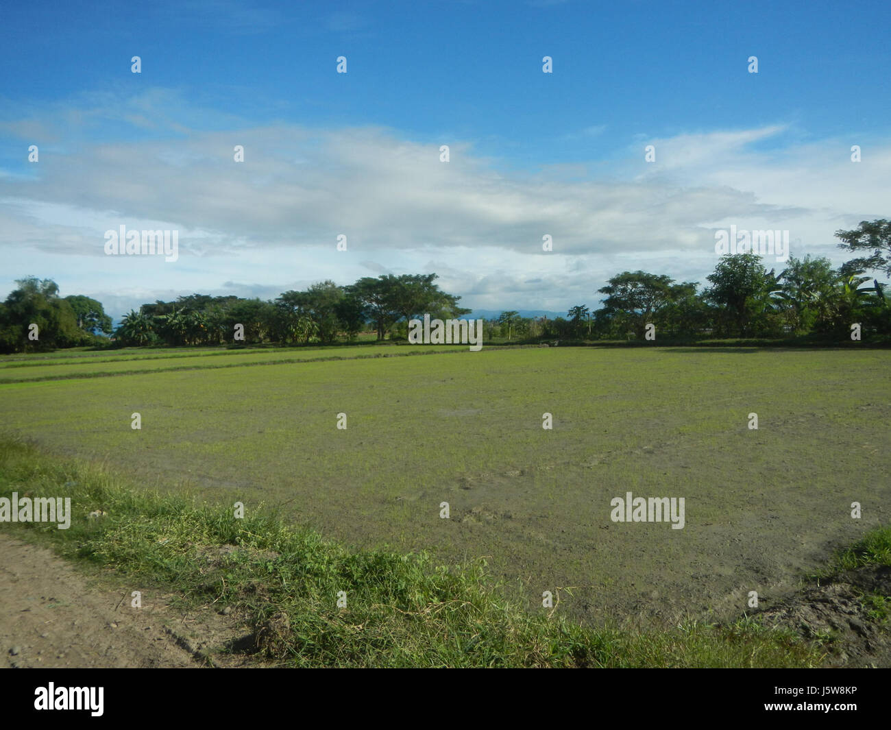 0127 Sitio Pinagpala Extension Bulualto San Miguel Bulacan Farm Market ...