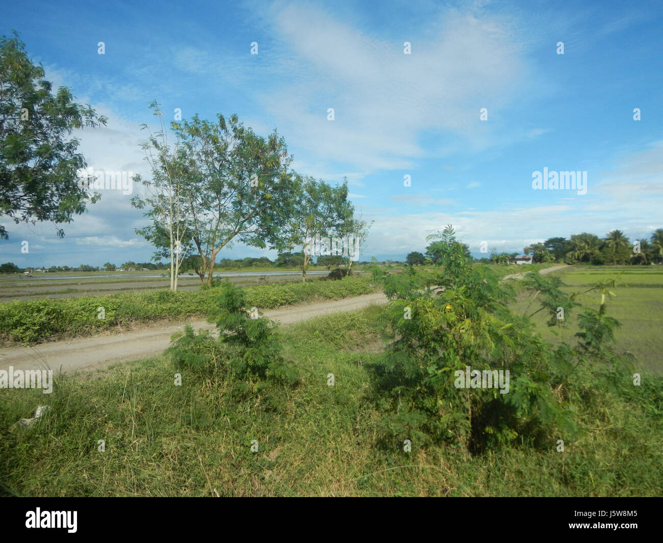 0127 Sitio Pinagpala Extension Bulualto San Miguel Bulacan Farm Market ...