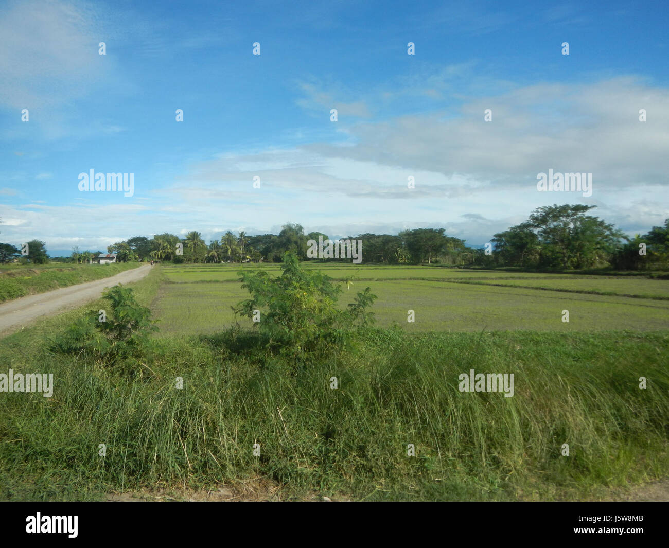 0127 Sitio Pinagpala Extension Bulualto San Miguel Bulacan Farm Market ...