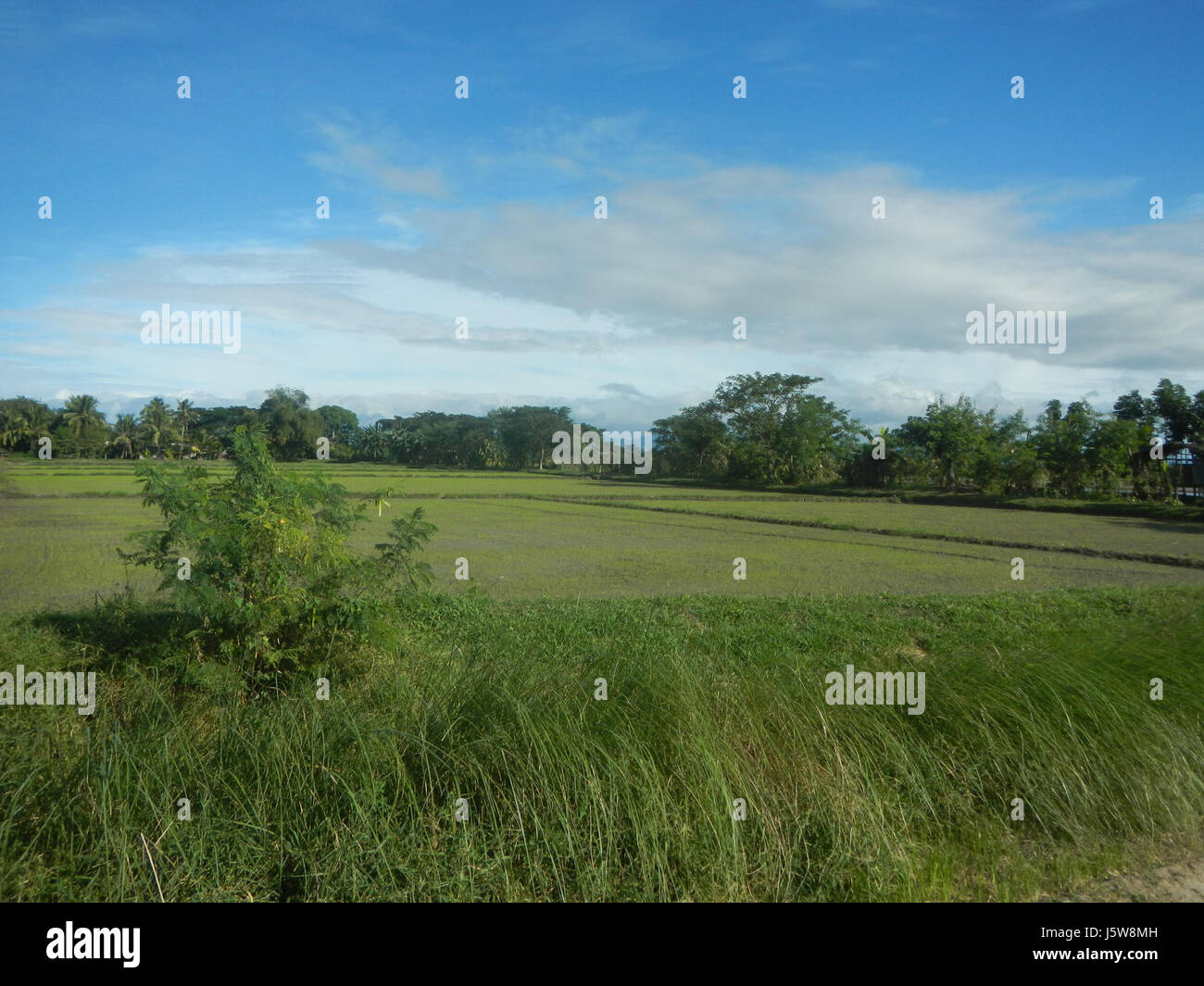 0127 Sitio Pinagpala Extension Bulualto San Miguel Bulacan Farm Market ...