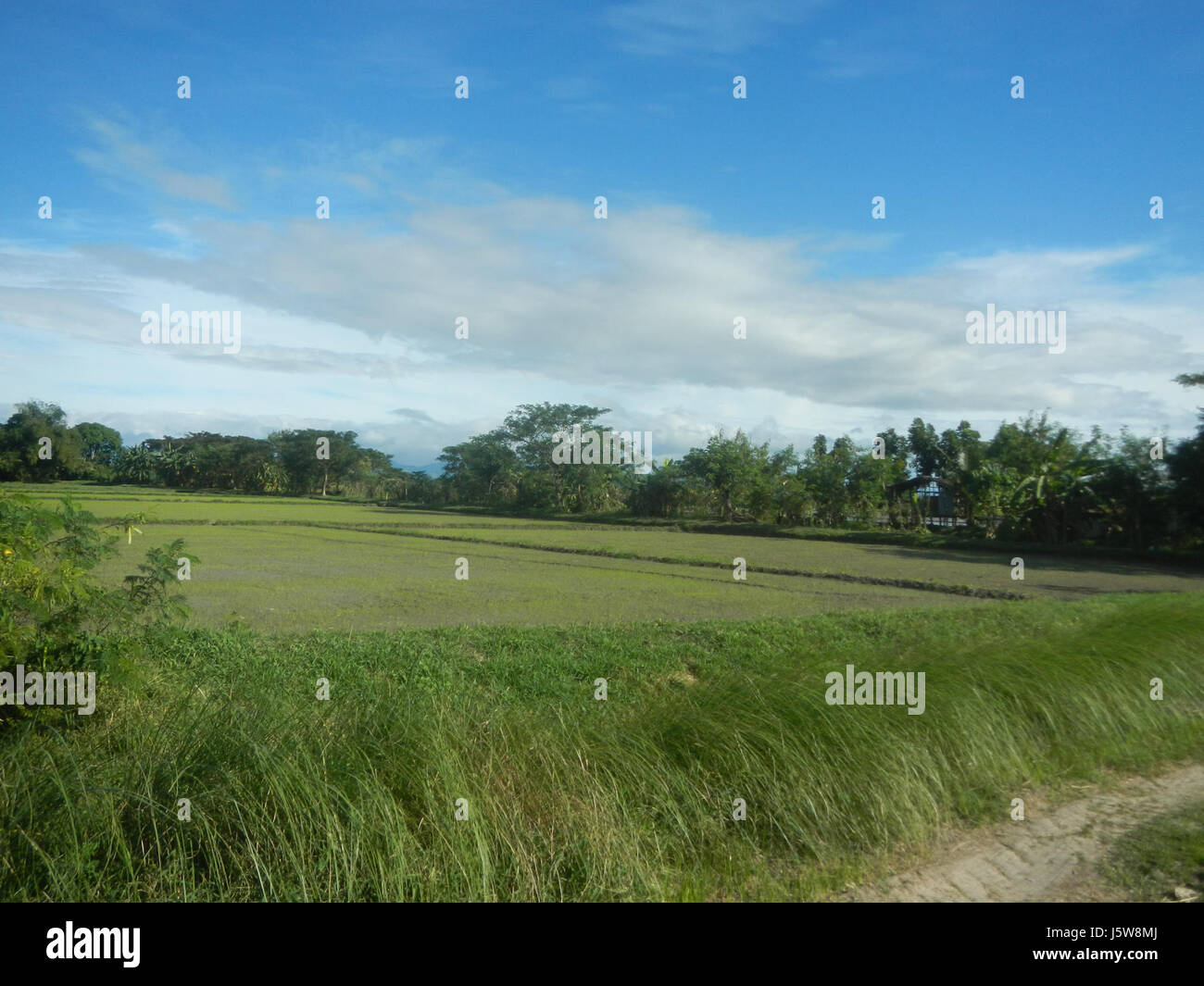0127 Sitio Pinagpala Extension Bulualto San Miguel Bulacan Farm Market ...