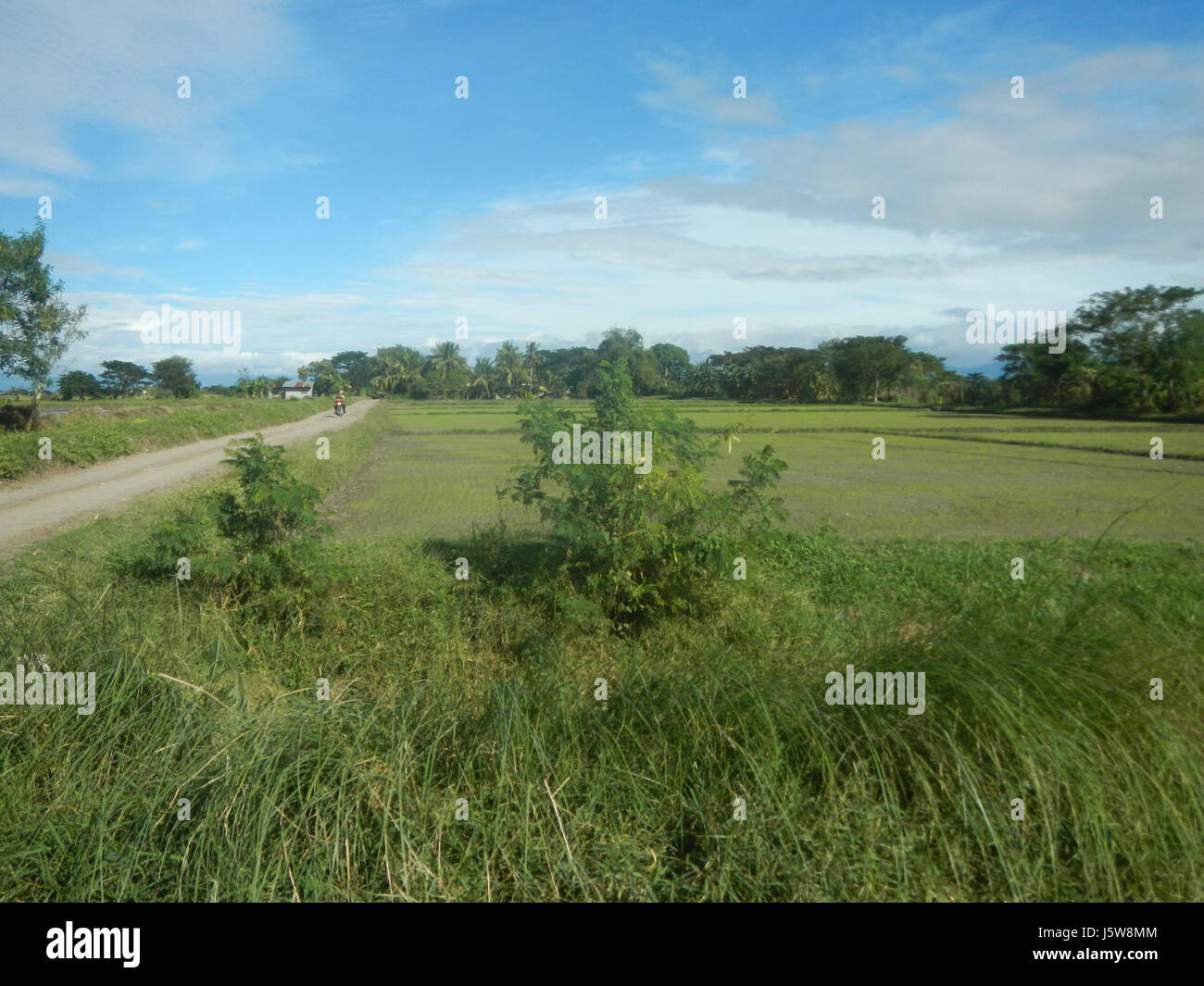 0152 Sitio Pinagpala Extension Bulualto San Miguel Bulacan Farm Market ...