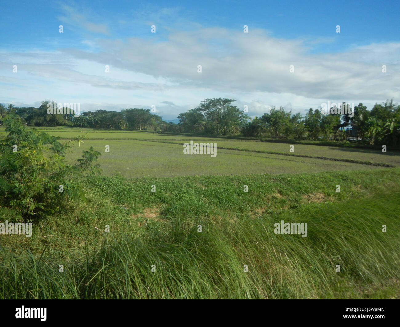 The image shows a farm-to-market road in Sitio Pinagpala Extension ...