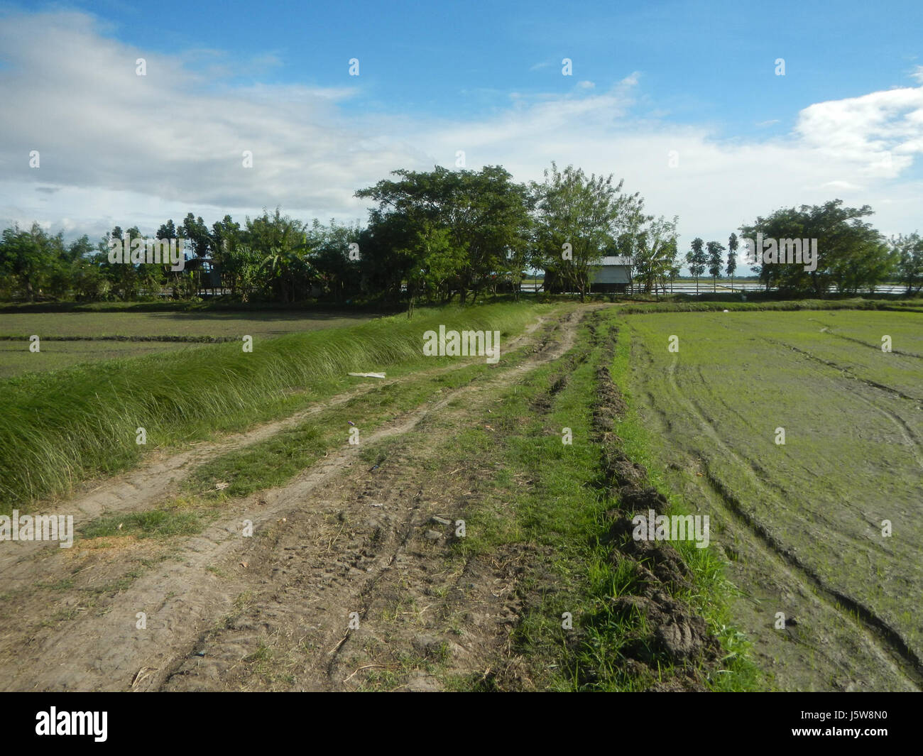 The Sitio Pinagpala Extension in Bulualto, San Miguel, Bulacan, is a ...