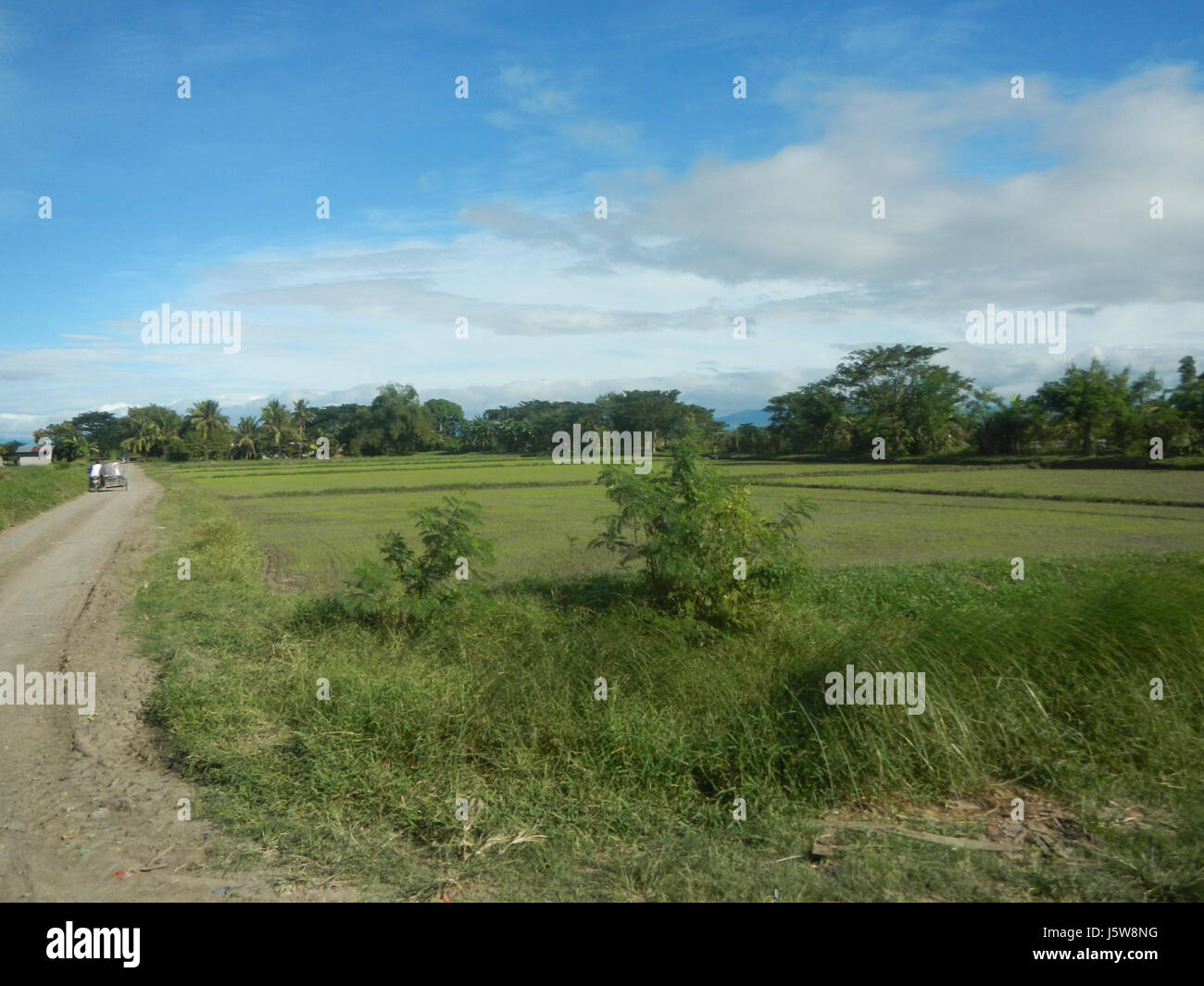 0152 Sitio Pinagpala Extension Bulualto San Miguel Bulacan Farm Market ...