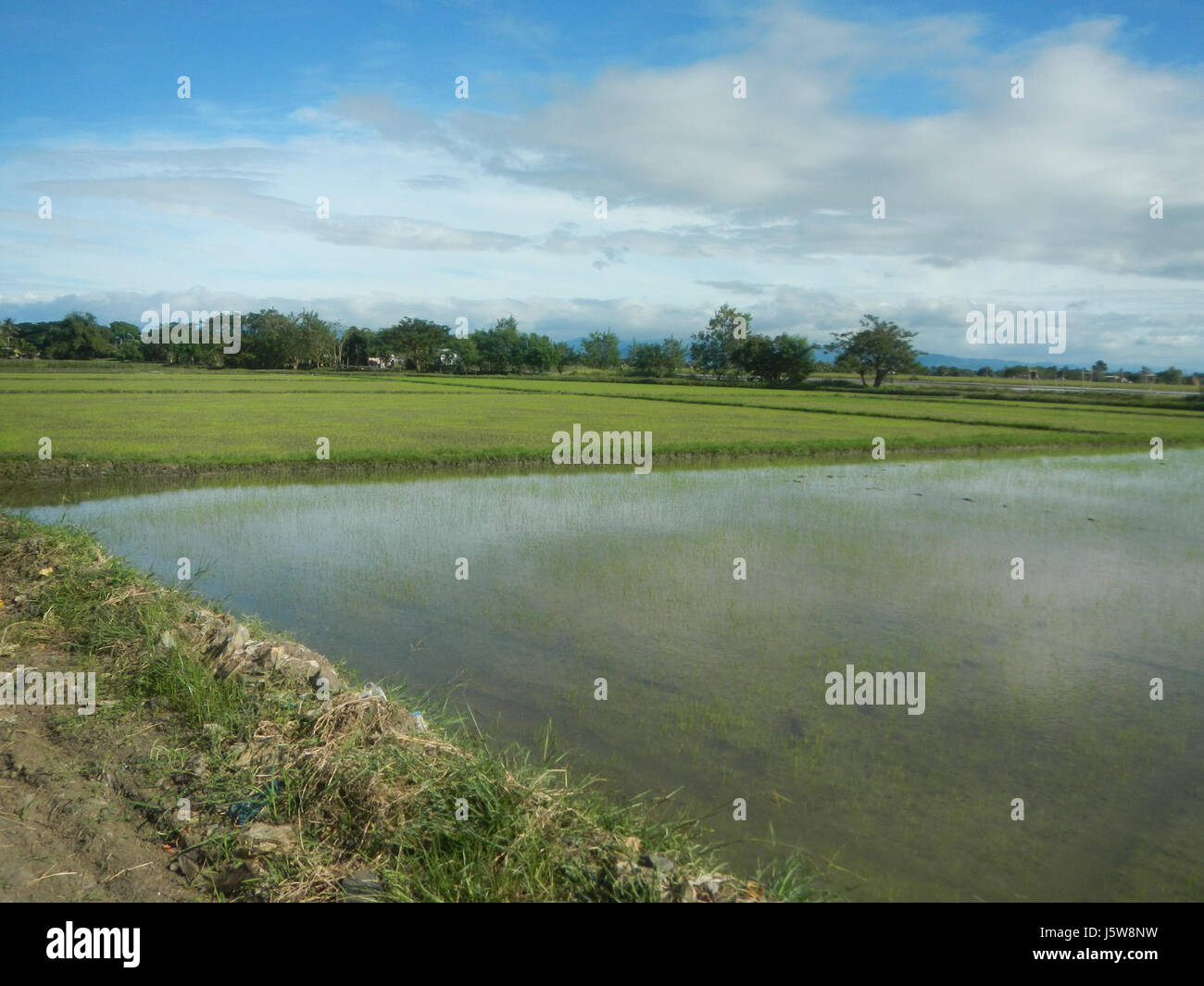 0180 Sitio Pinagpala Extension Bulualto San Miguel Bulacan Farm Market ...