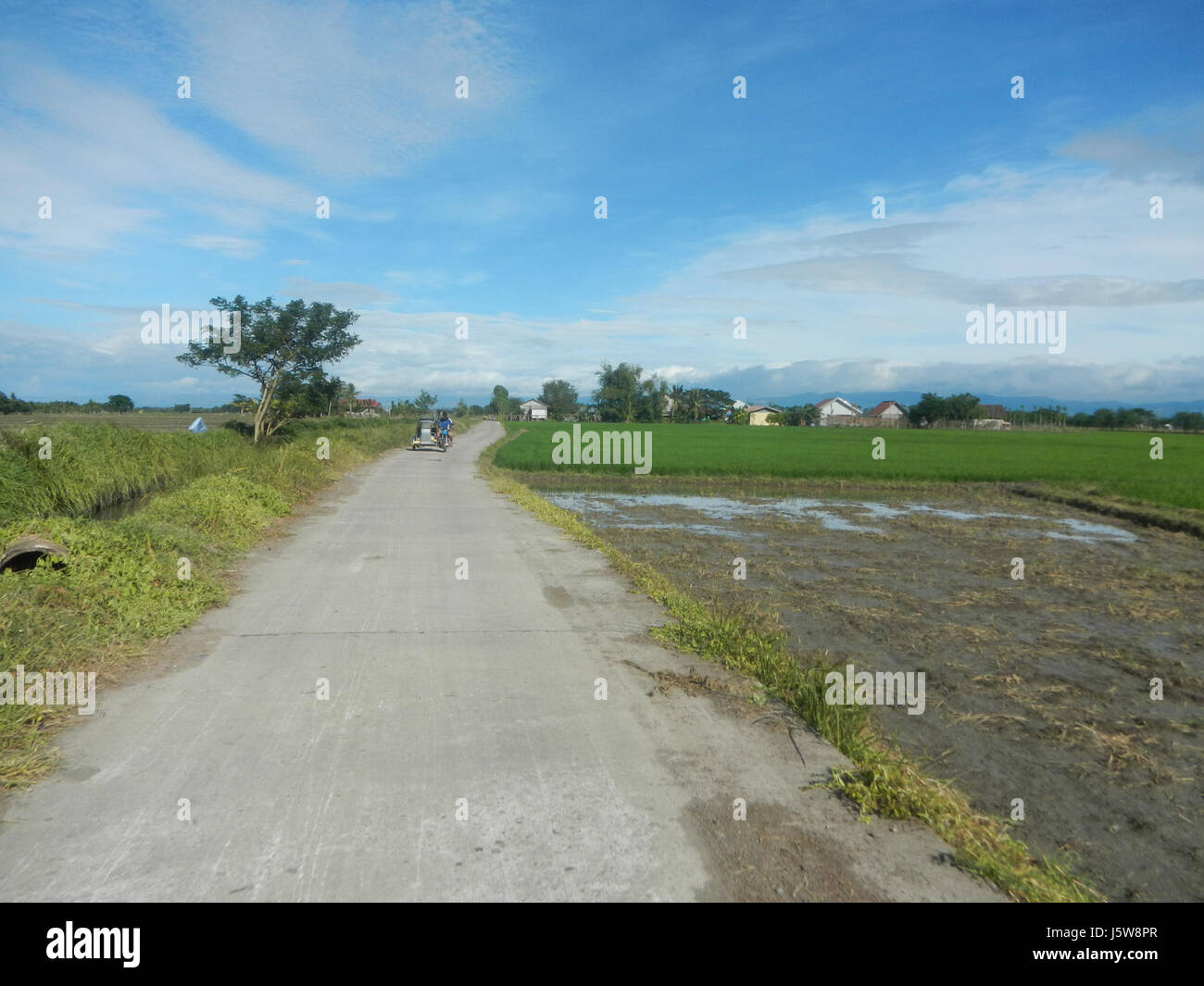 This road in Bulacan leads through rural areas and farming communities ...