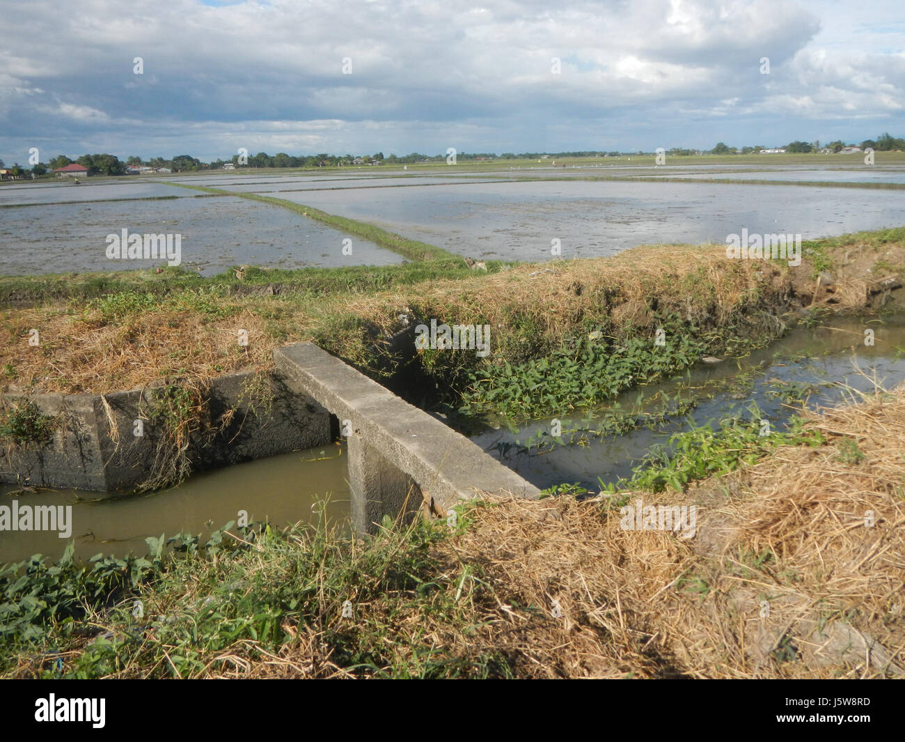 0201 Sitio Pinagpala Extension Bulualto San Miguel Bulacan Farm Market ...