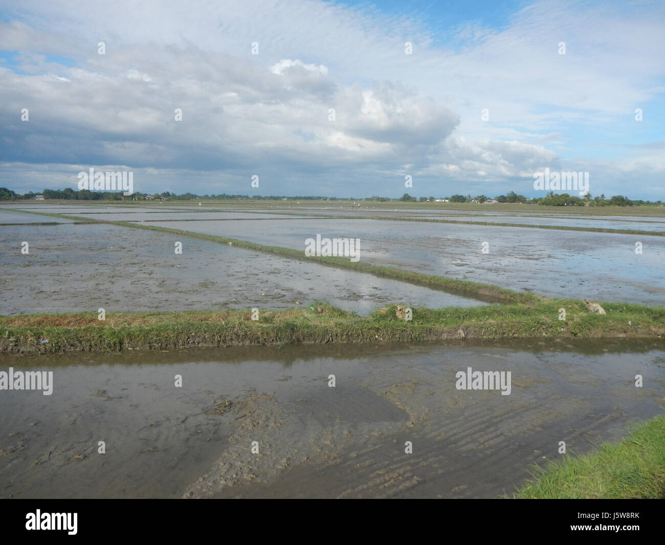 This image depicts the farm market road in Sitio Pinagpala Extension ...