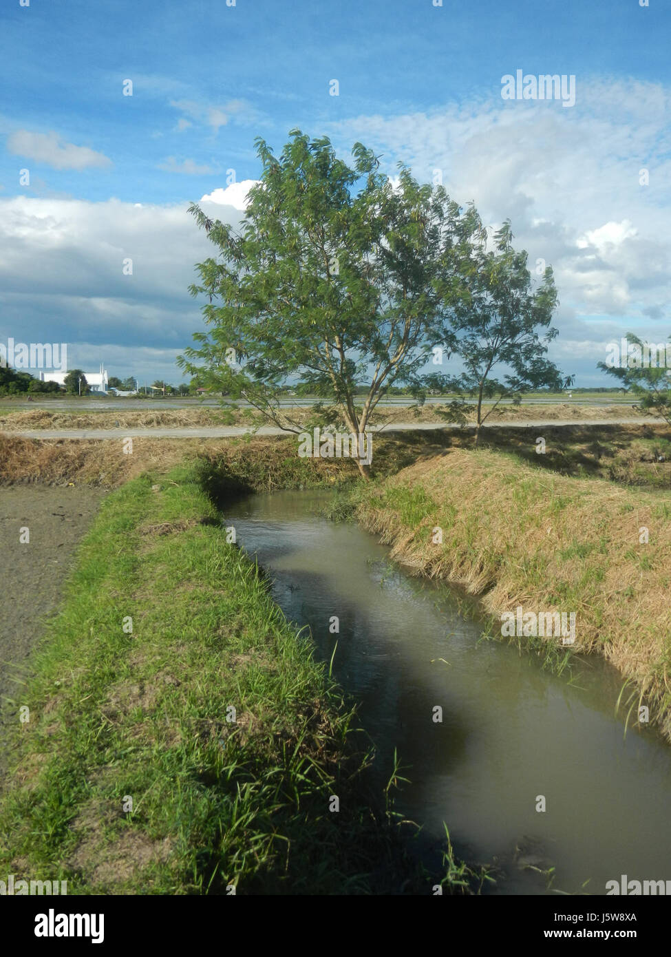 This image depicts a rural scene of Sitio Pinagpala Extension, located ...