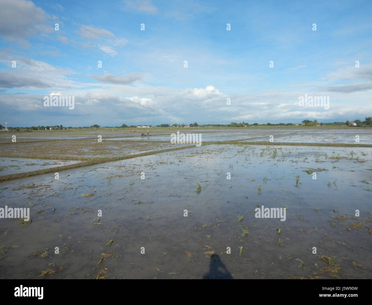 This image likely depicts a rural area in the Philippines, focusing on ...