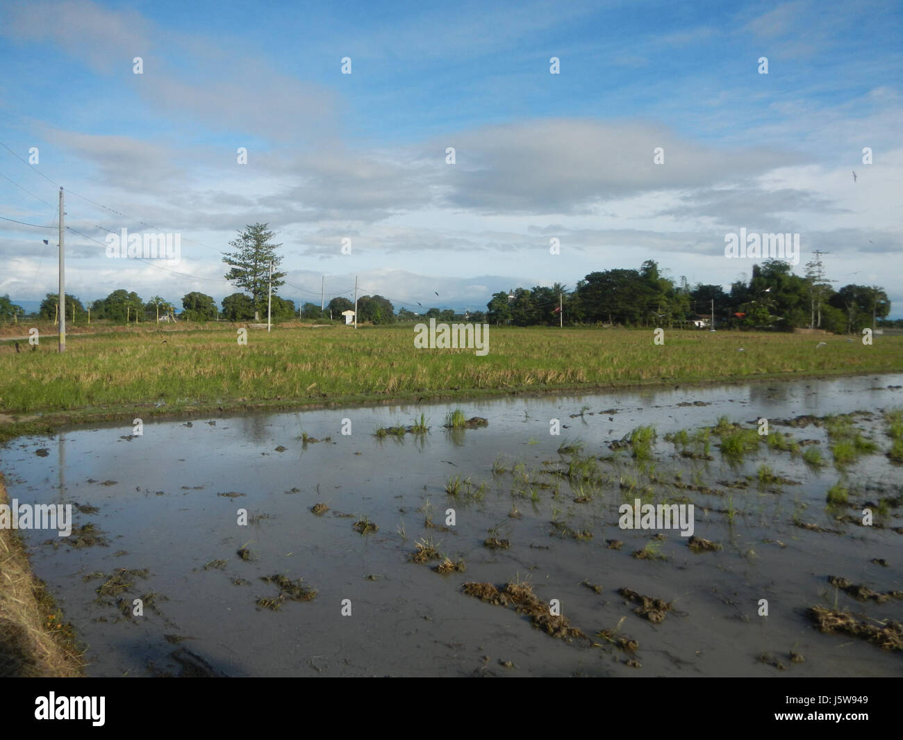 This reference points to a farm market road in the Pampanga region ...