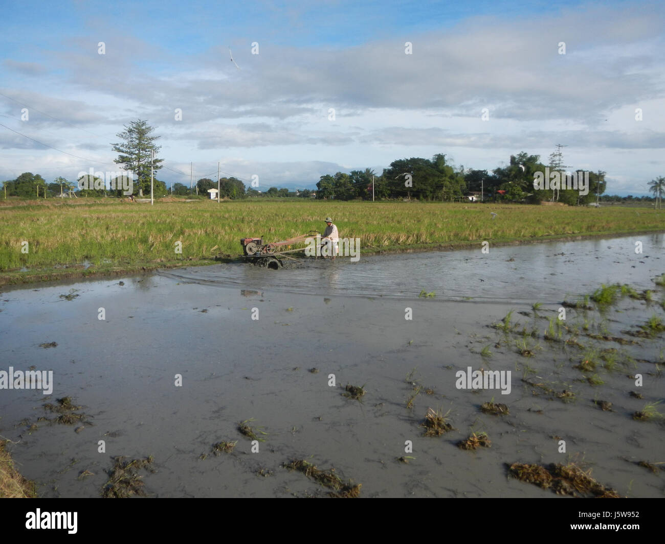 A rural scene from Sitio Hulo Hilerang Patubig in Candaba, Pampanga ...