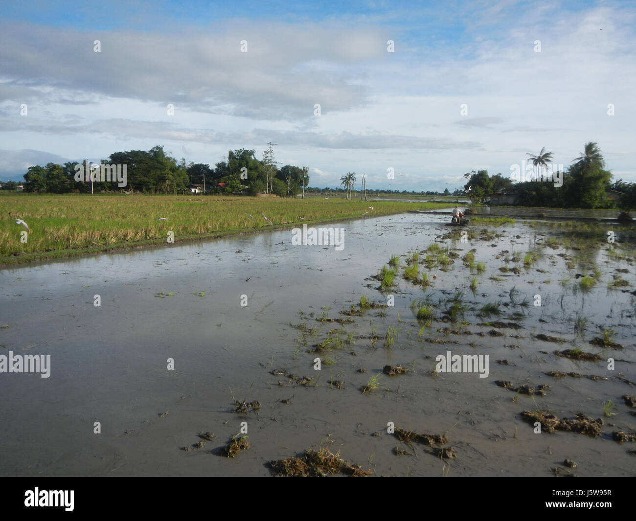This image shows Sitio Hulo, Hilerang Patubig, Tagulod, Candaba ...