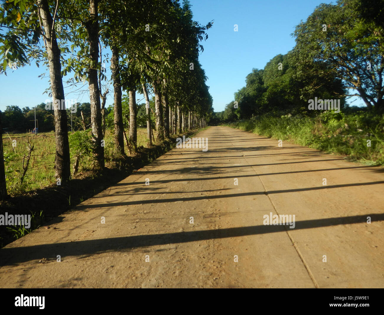 0295 Paddy fields grasslands trees Tukod Sapang Pahalang, San Rafael ...