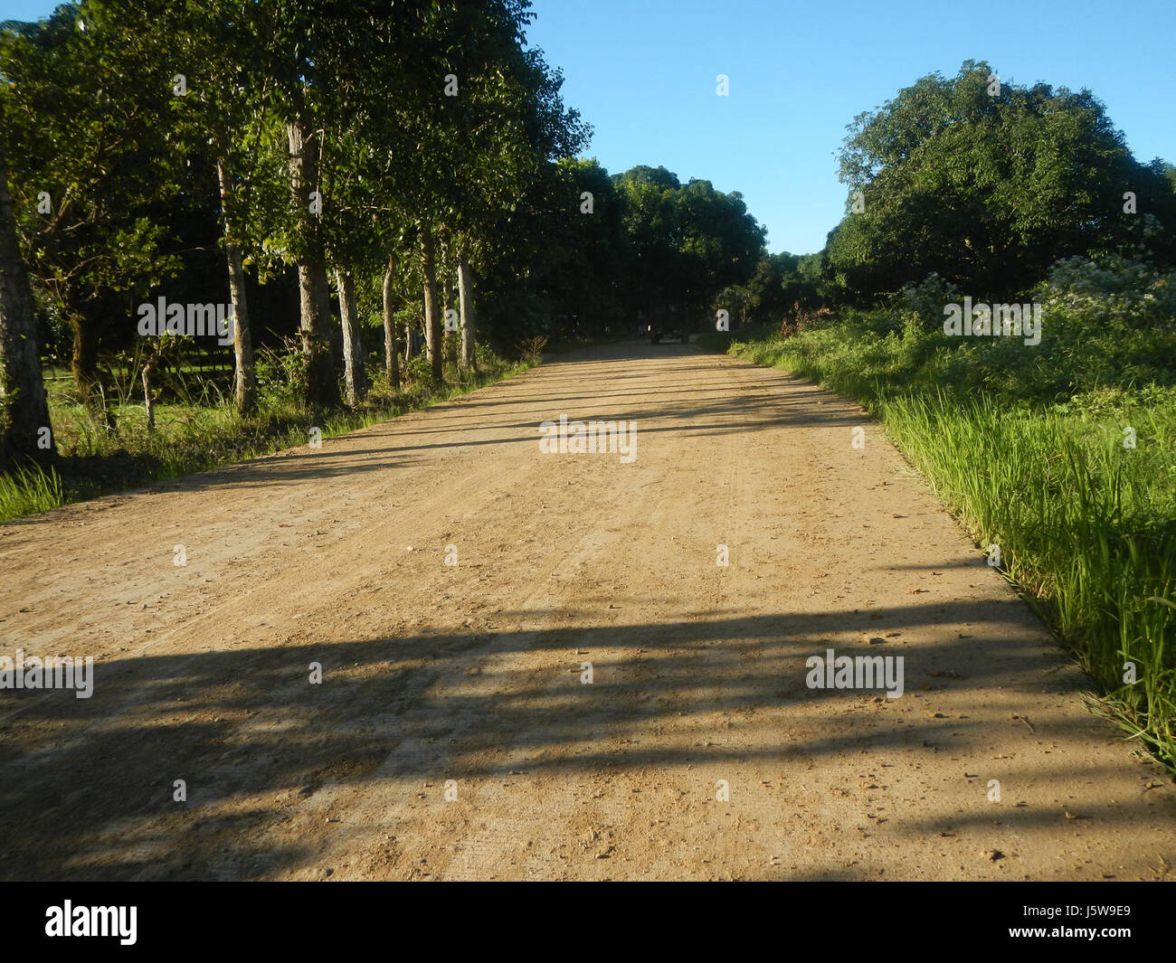 A view of the paddy fields, grasslands, and trees along Tukod Sapang ...