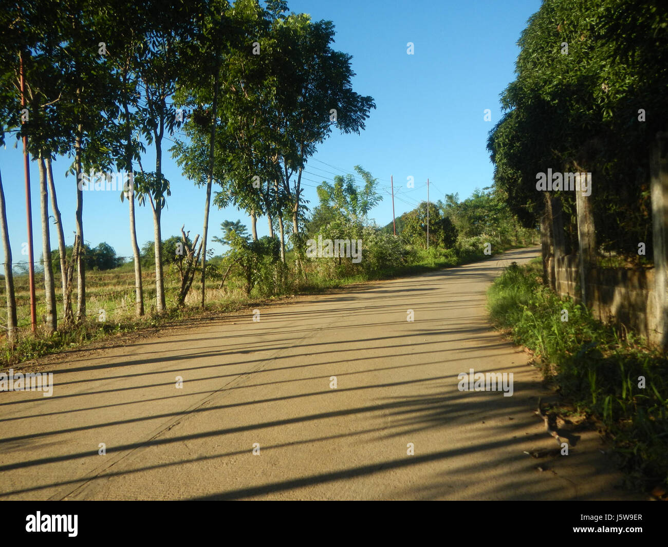 0394 Paddy fields grasslands trees Tukod Sapang Pahalang, San Rafael ...