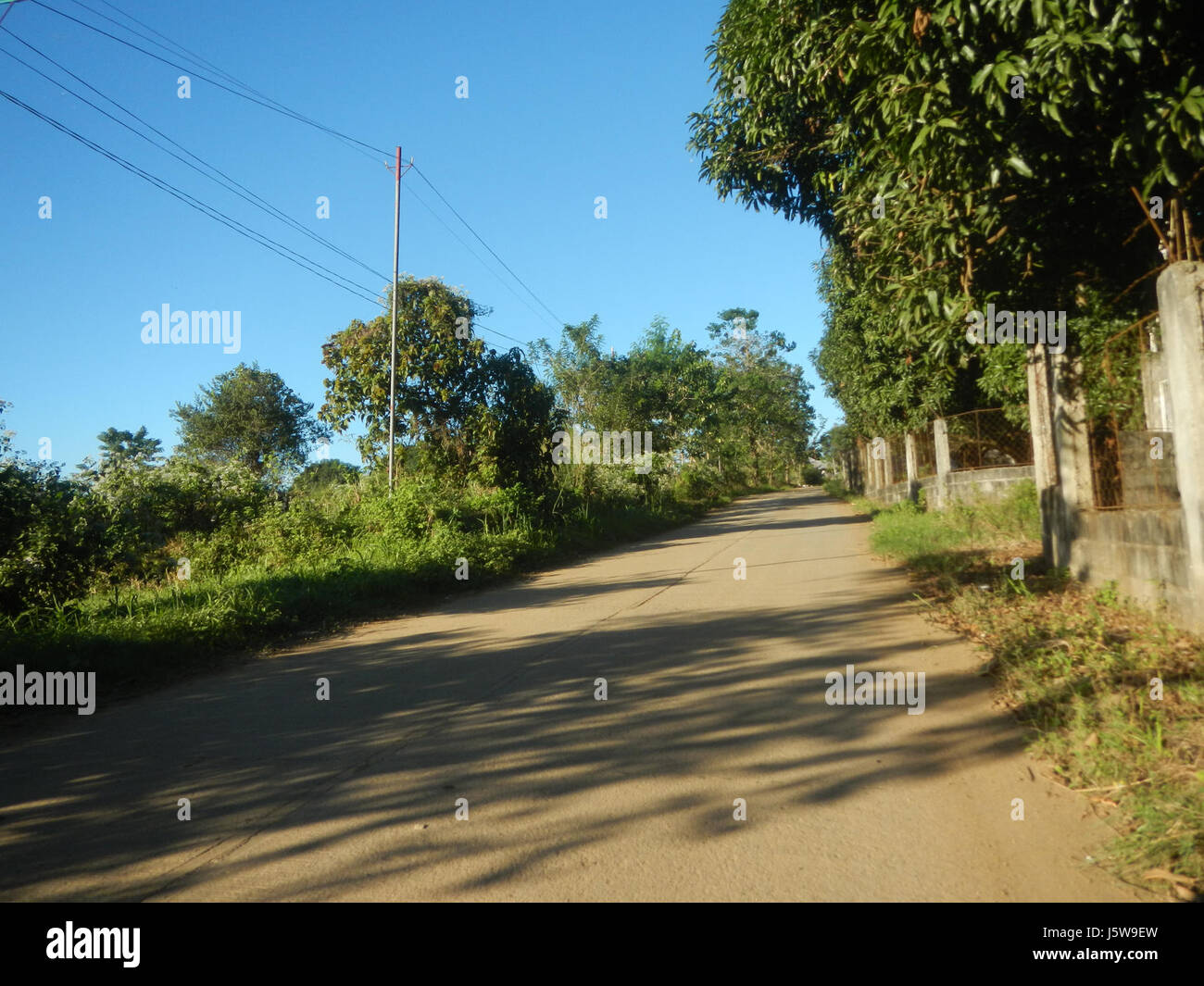 The image captures the scenic landscape of paddy fields, grasslands ...