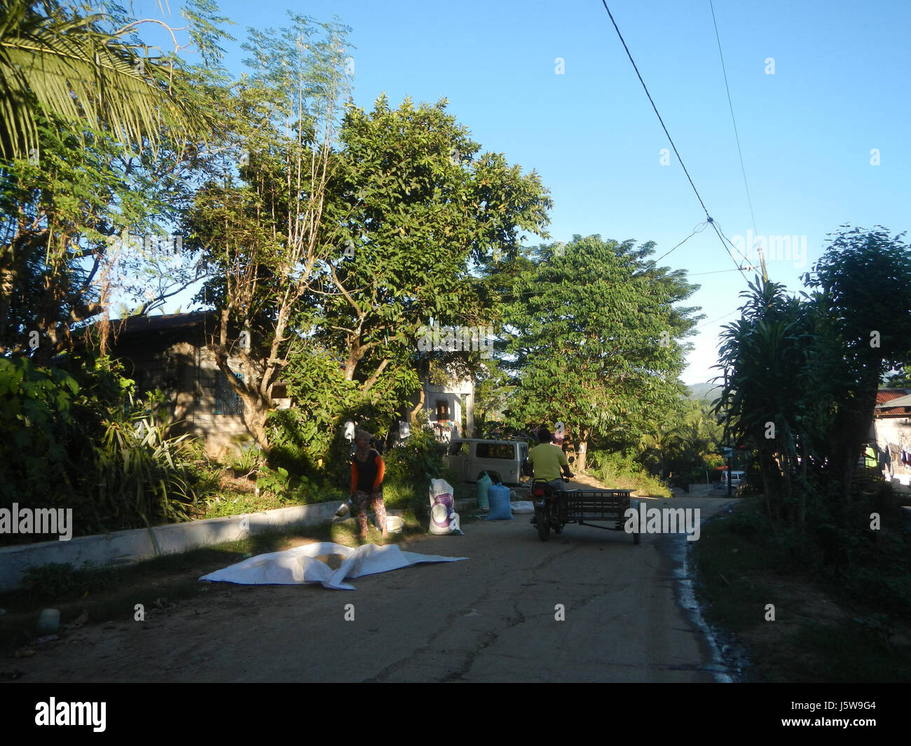 This image shows the lush paddy fields and grasslands in Tukod, San ...