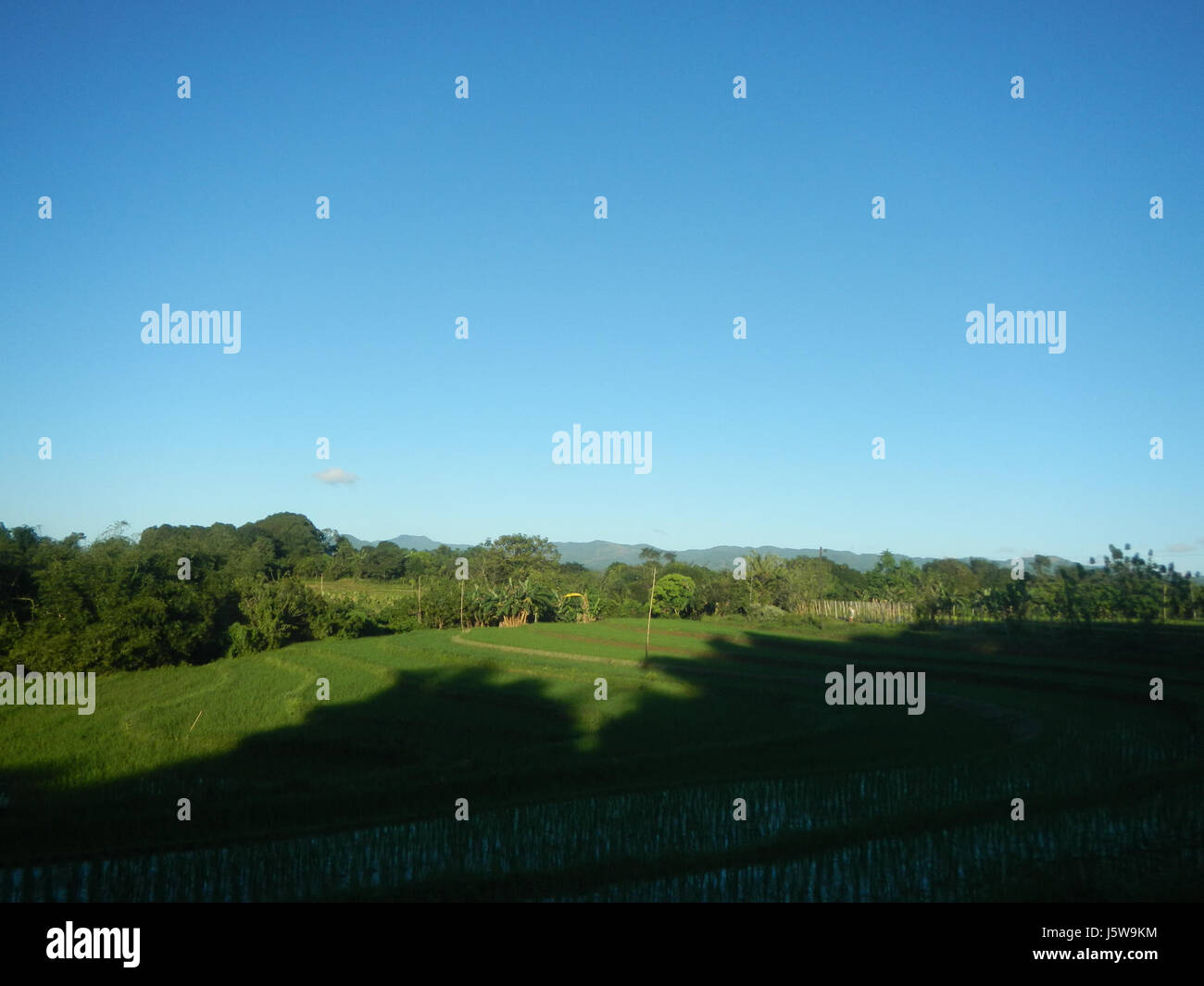 A photograph showing the landscape of the paddy fields and grasslands ...