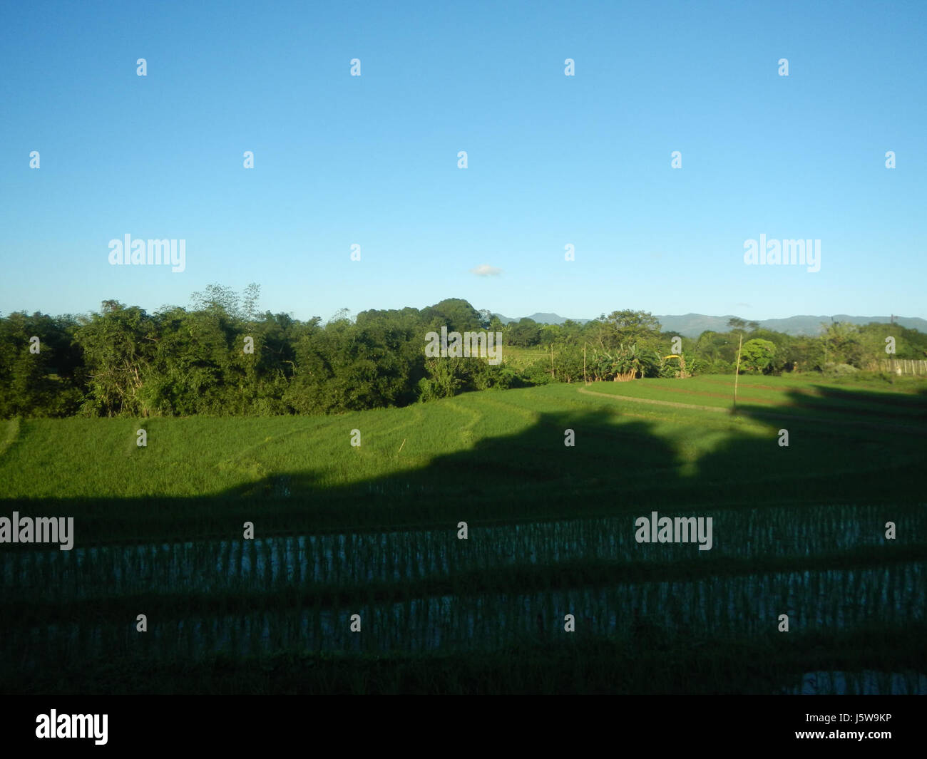 The area near Tukod Sapang Pahalang in San Rafael, Bulacan, is known ...