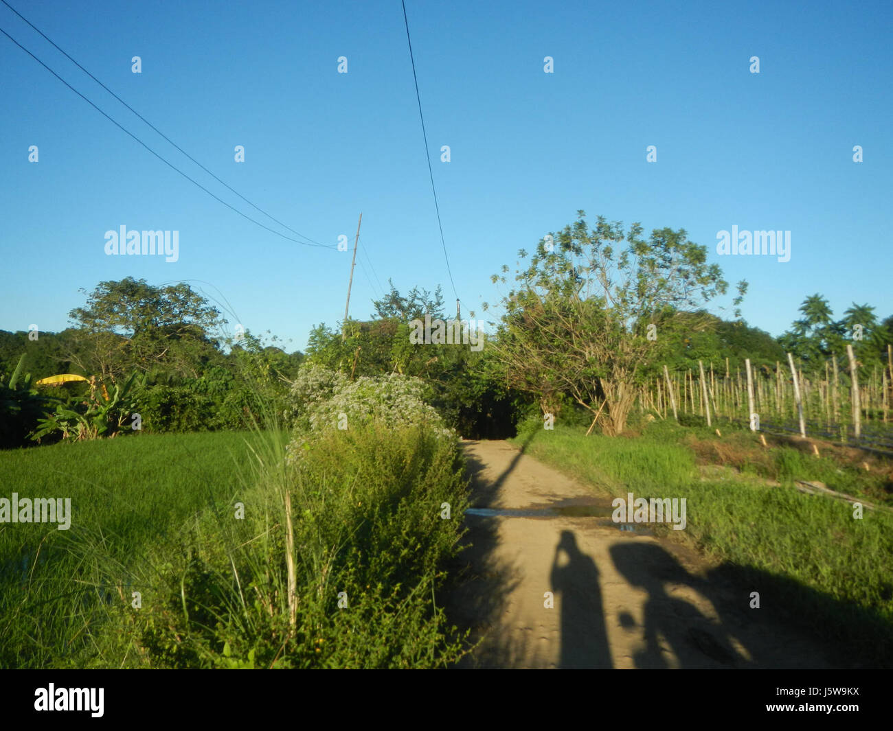 This image captures the expansive paddy fields and grasslands of Tukod ...