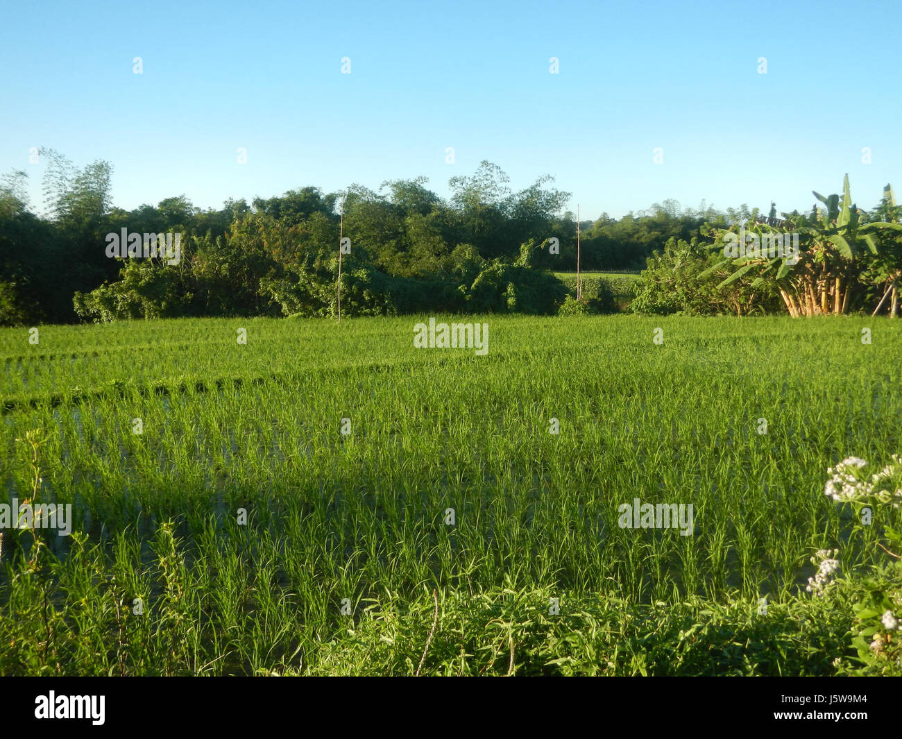 This image depicts the rural landscape of Tukod Sapang Pahalang in San ...