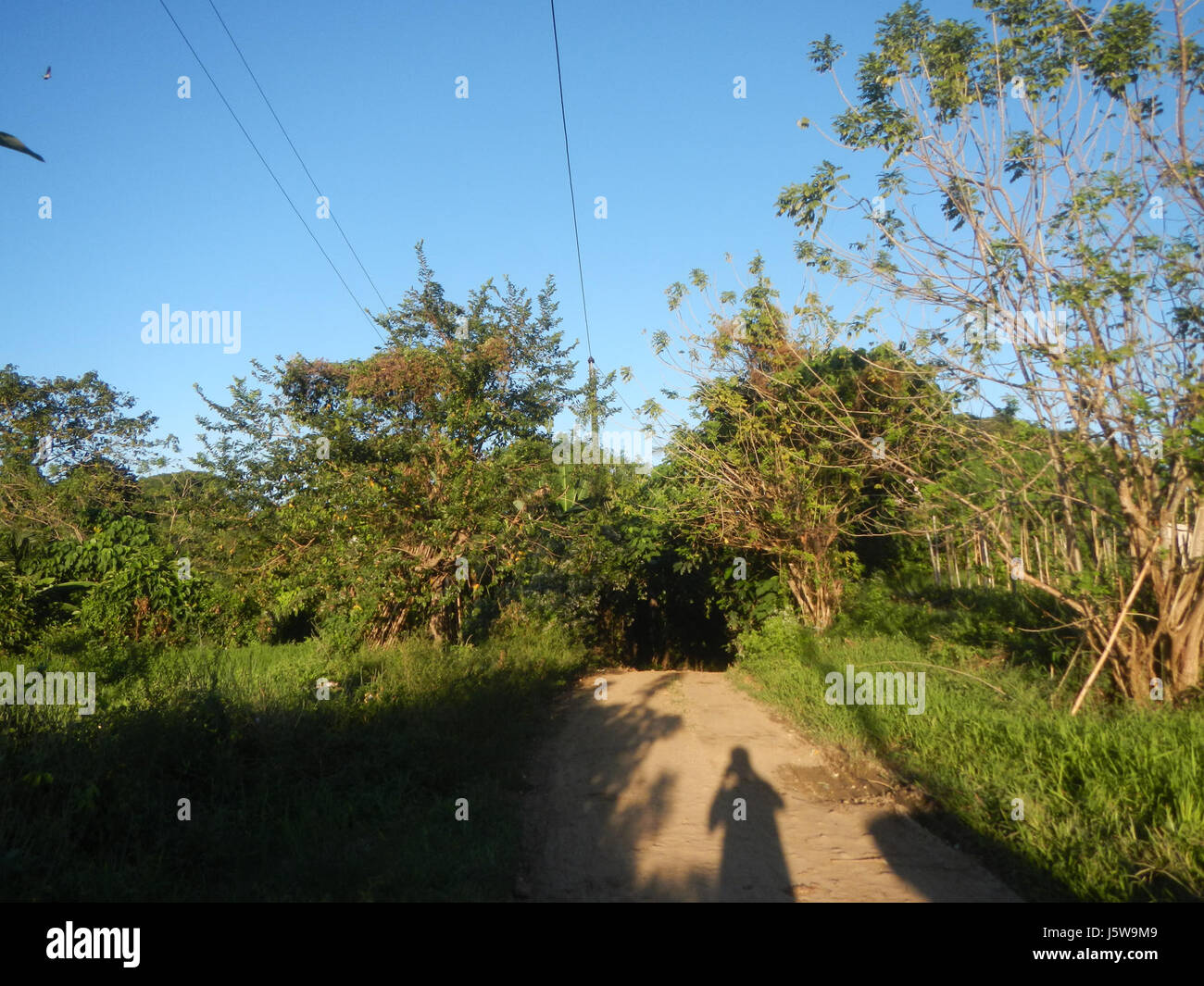 A photograph of the agricultural landscape in San Rafael, Bulacan ...