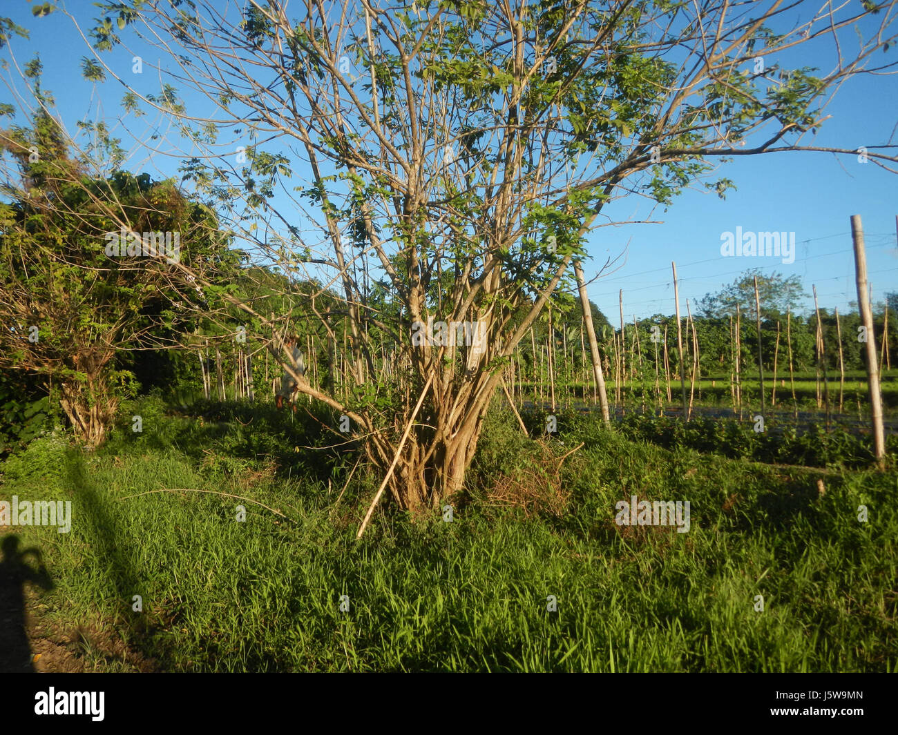 This description refers to the natural landscape of Tukod, Sapang ...