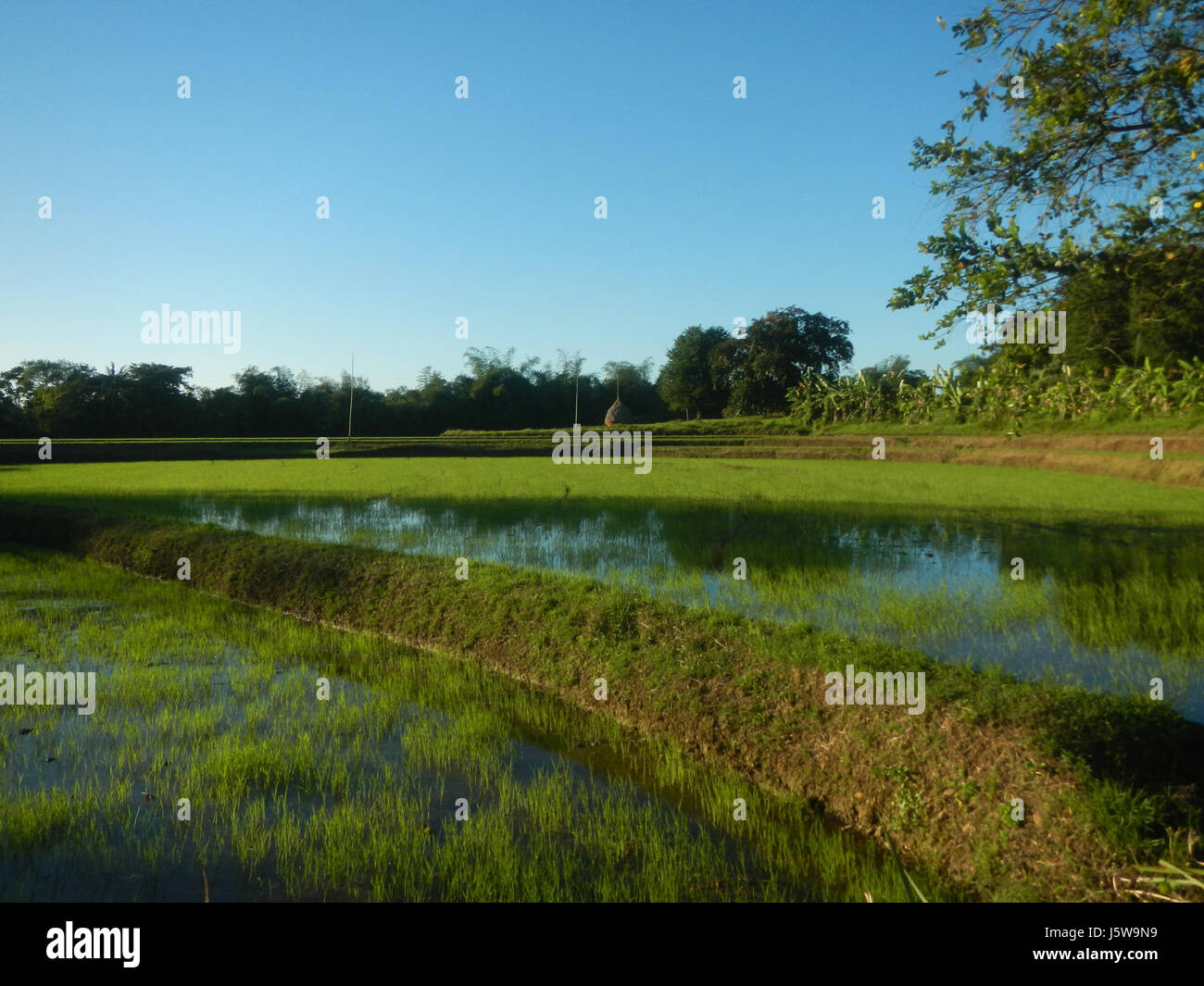 Sapang hi-res stock photography and images - Alamy