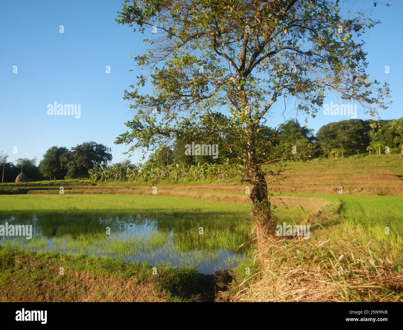 The title refers to a location in San Rafael, Bulacan, Philippines. It ...
