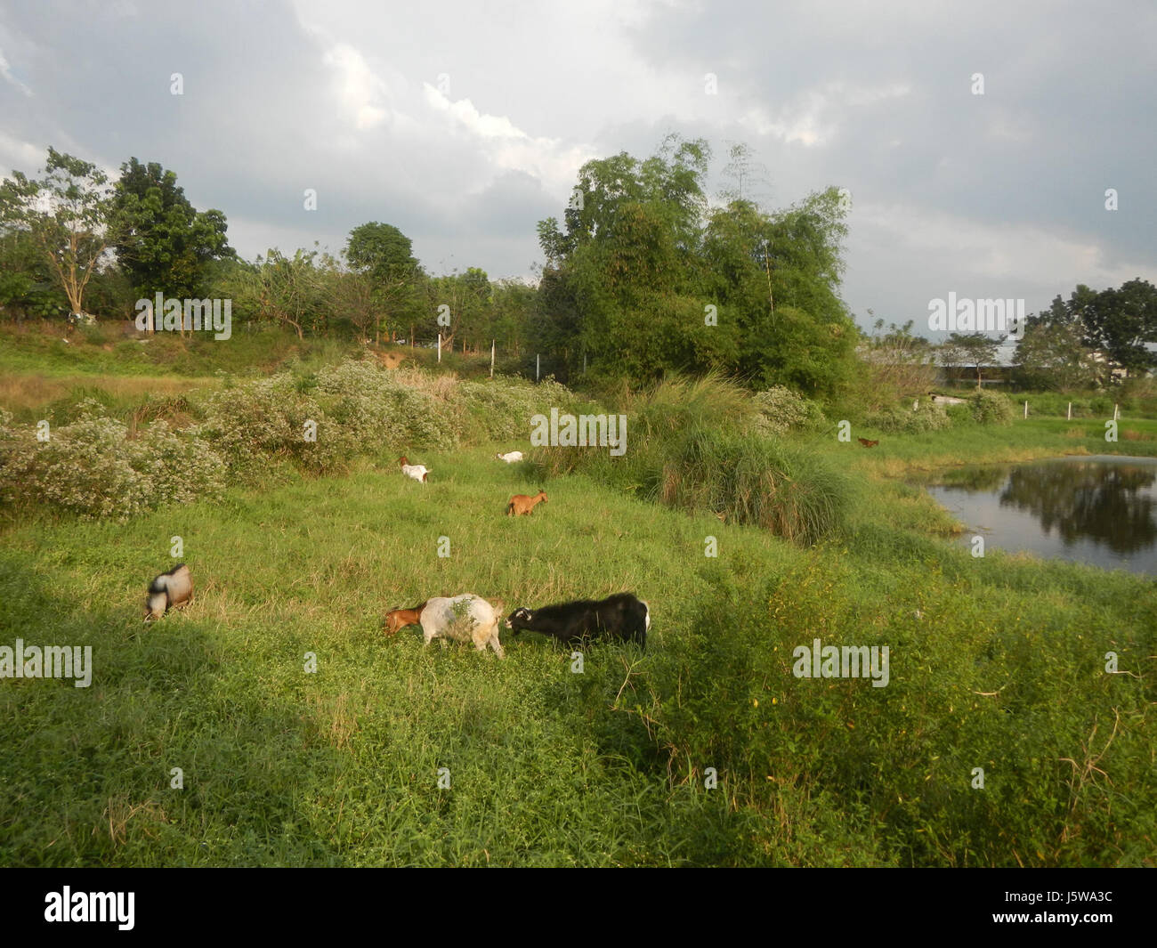 This image depicts the landscape of Mataas na Parang Nabaong, located ...