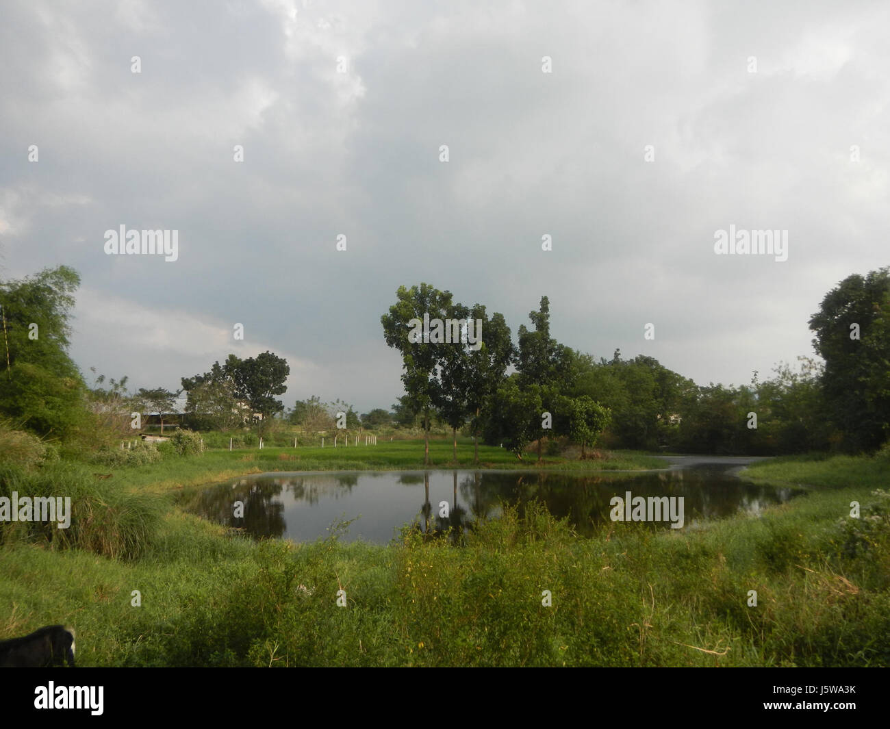 This image shows the agricultural landscape of Mataas na Parang, a ...