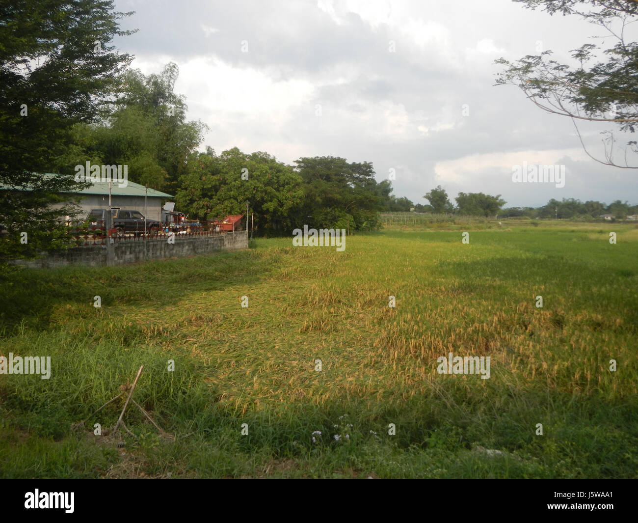 This photograph depicts the rural landscape of San Ildefonso, Bulacan ...