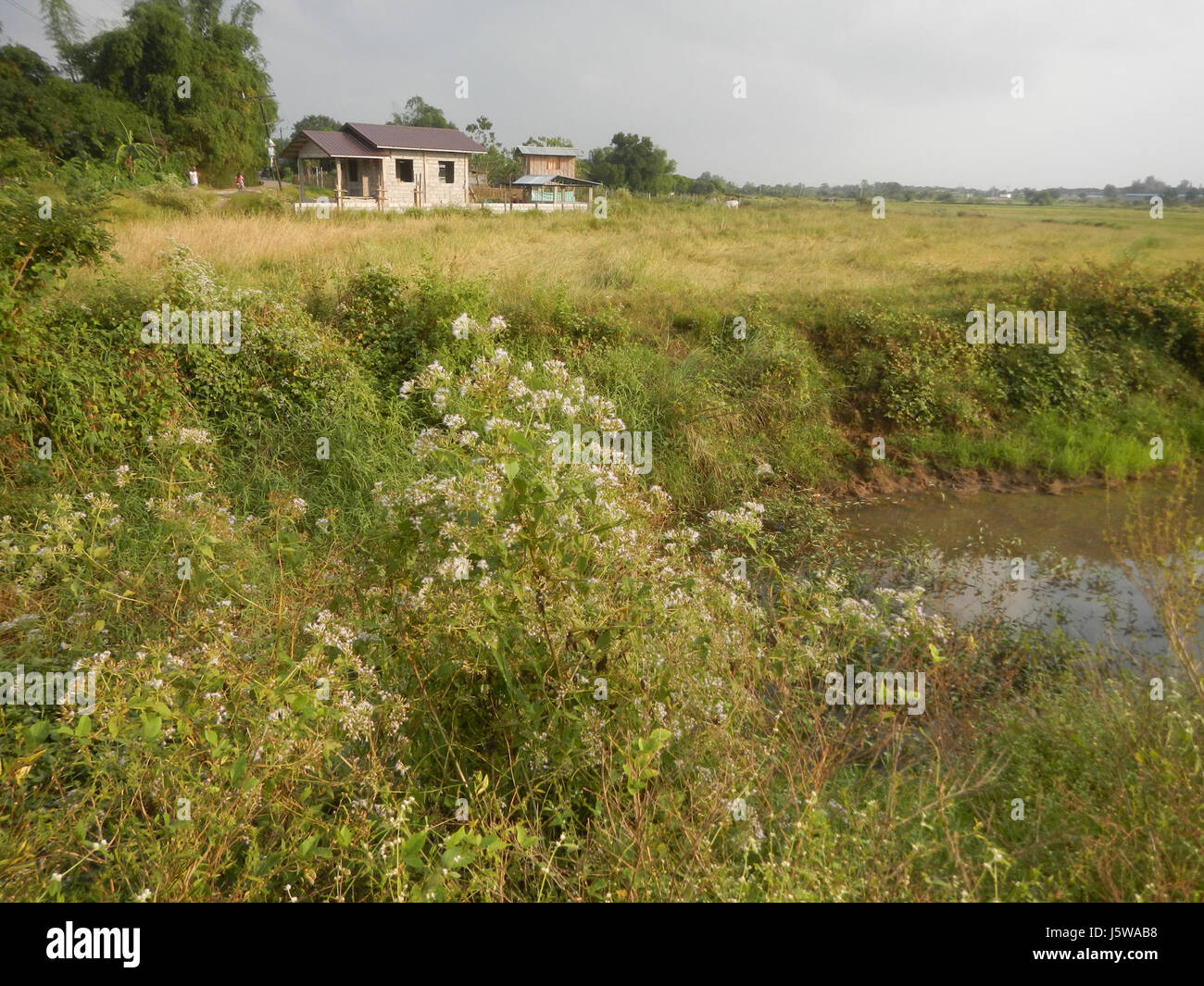 A detailed map image from Mataas na Parang, San Ildefonso, Bulacan ...