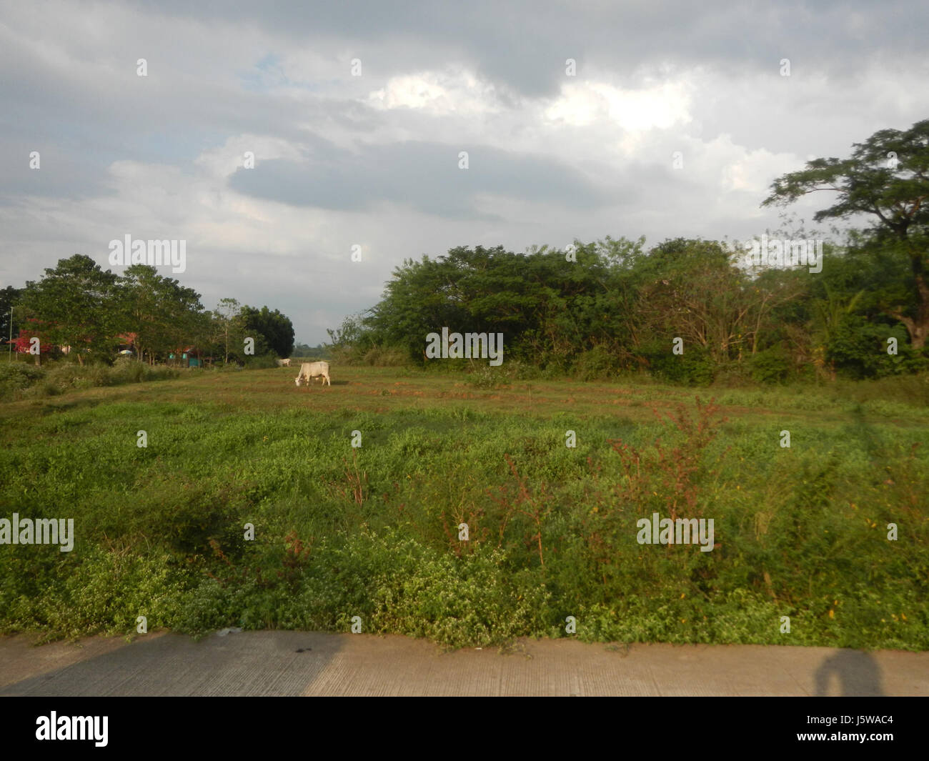 This photograph shows the scenic agricultural landscape of San ...