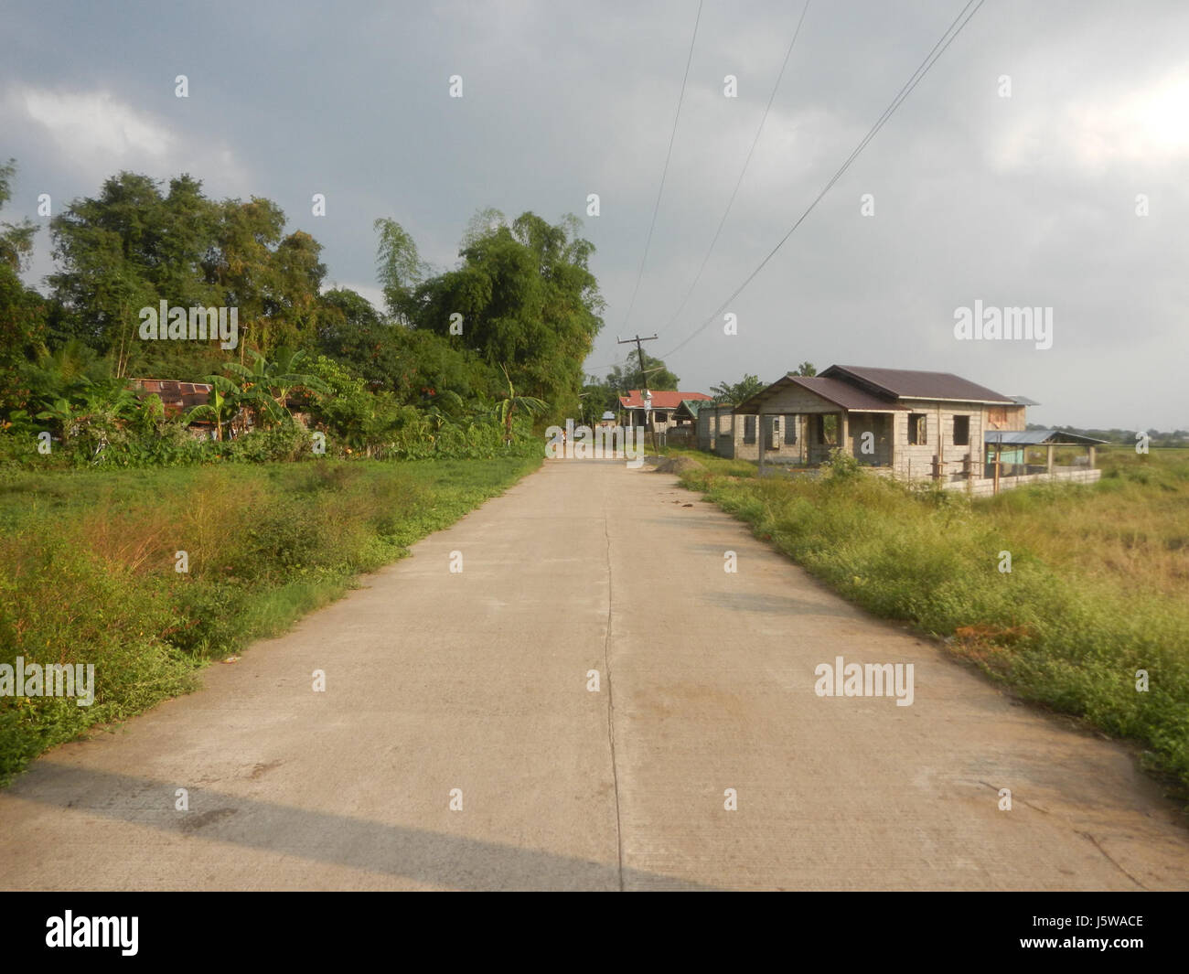 The agricultural landscape in San Ildefonso, Bulacan, features paddy ...