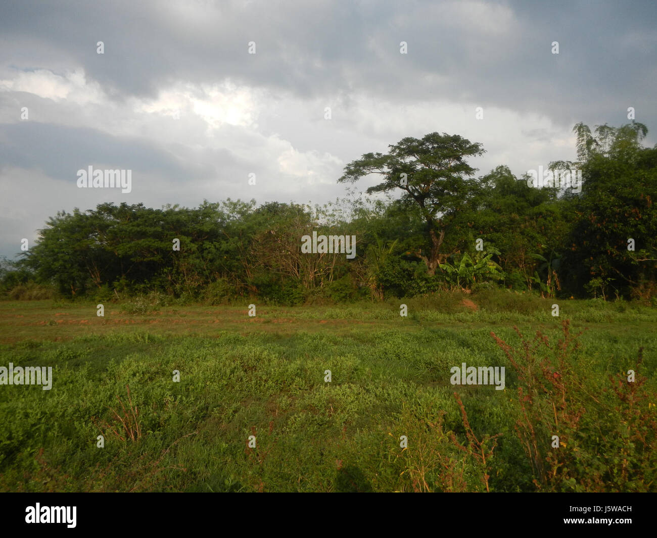 This refers to a specific location in San Ildefonso, Bulacan ...