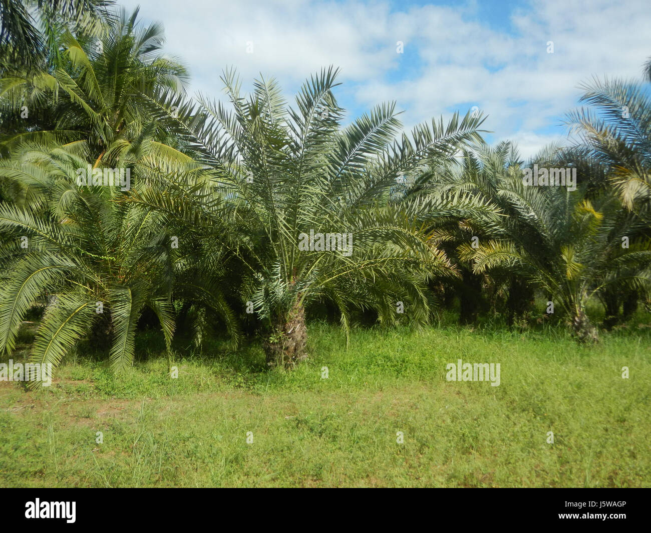 This image captures the natural landscape of Matimbubong, Sapang Putol ...