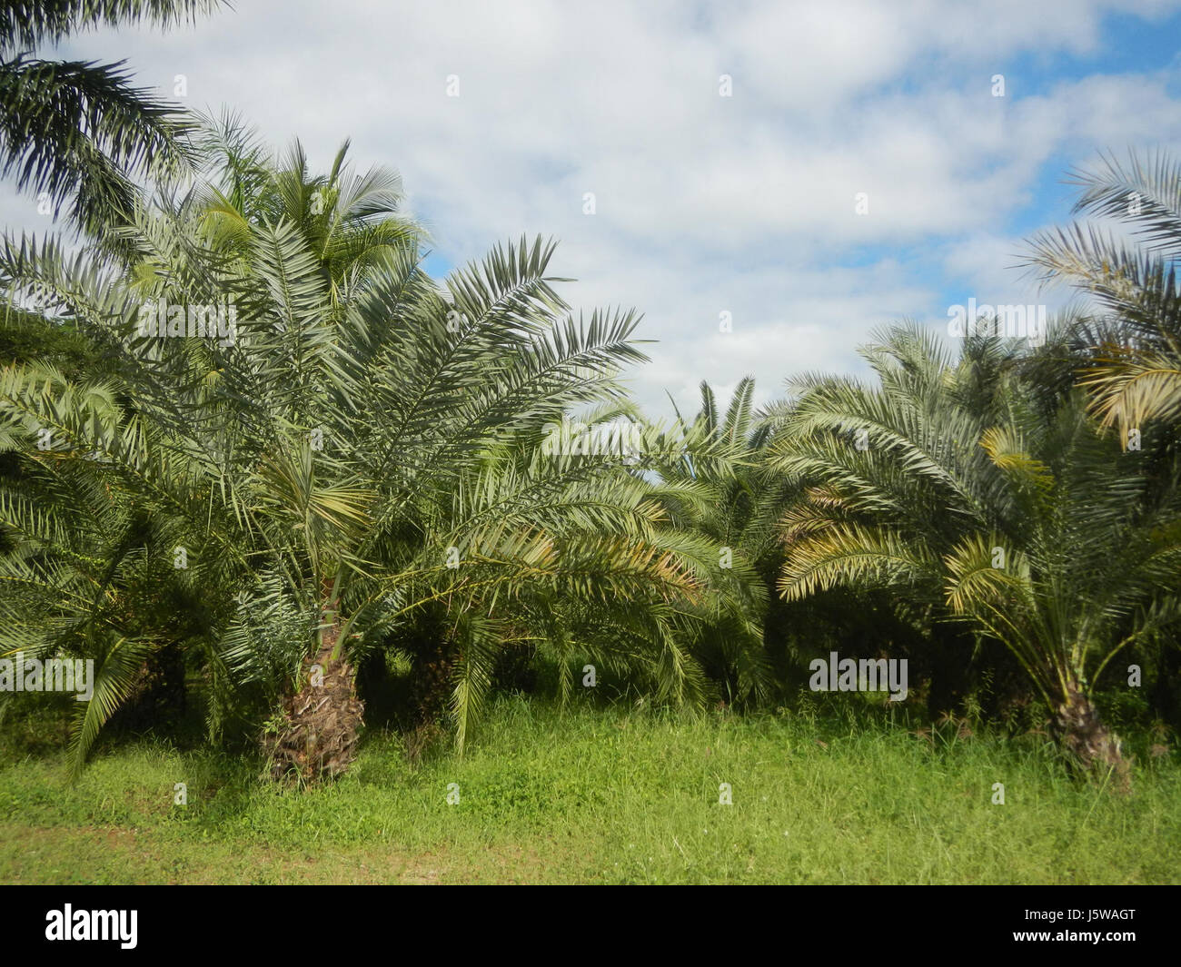 This image shows a natural landscape in San Ildefonso, Bulacan ...