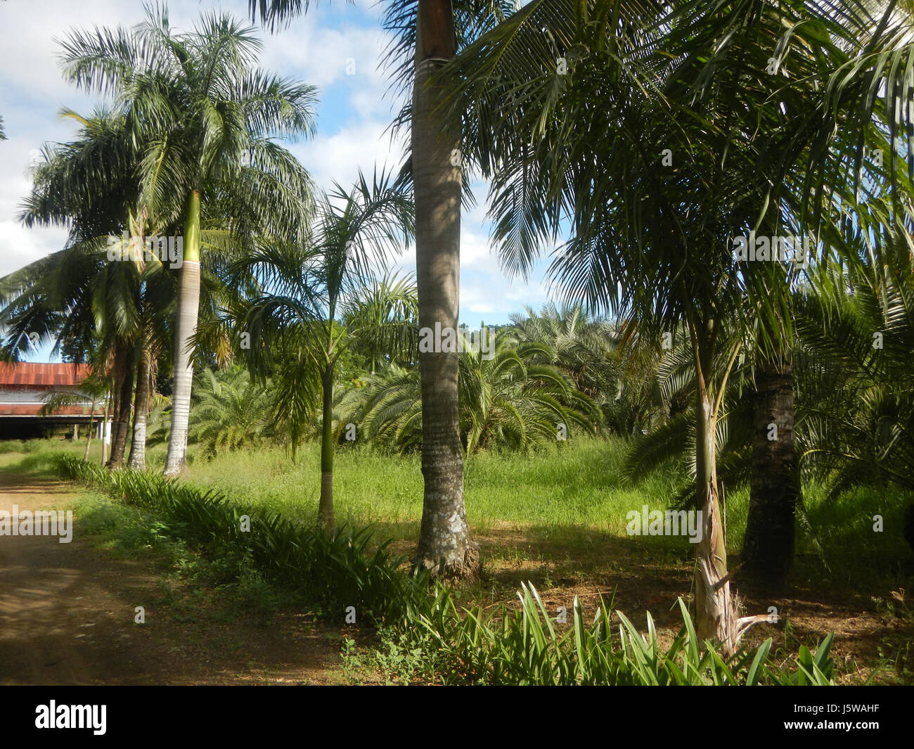 The area of Matimbubong and Sapang Putol in San Ildefonso, Bulacan, is ...