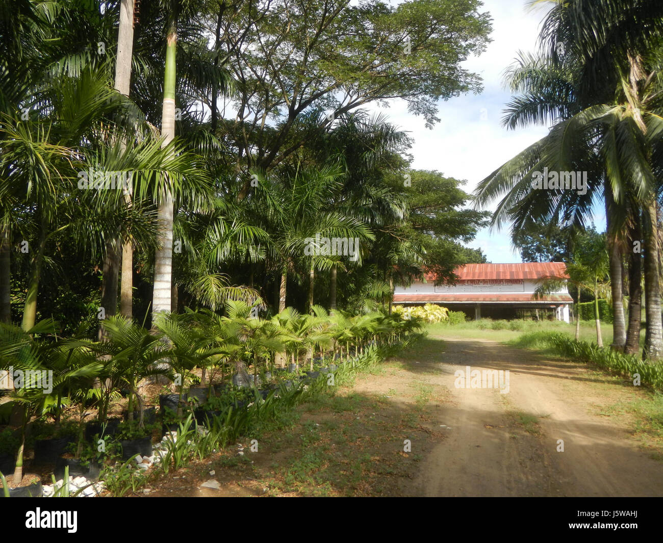 This photograph captures the natural landscape of Matimbubong, Sapang ...