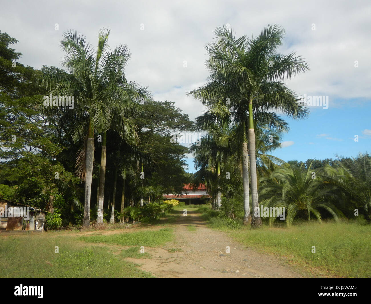 The title refers to a landscape in San Ildefonso, Bulacan, featuring ...