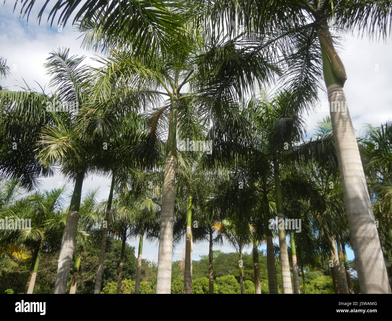 The landscape in Matimbubong, Sapang Putol, San Ildefonso, Bulacan ...