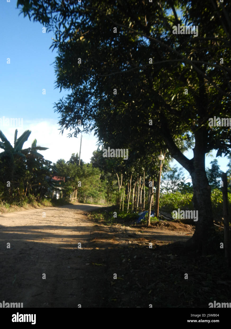 The paddy fields and grasslands along the road connecting Umpucan ...