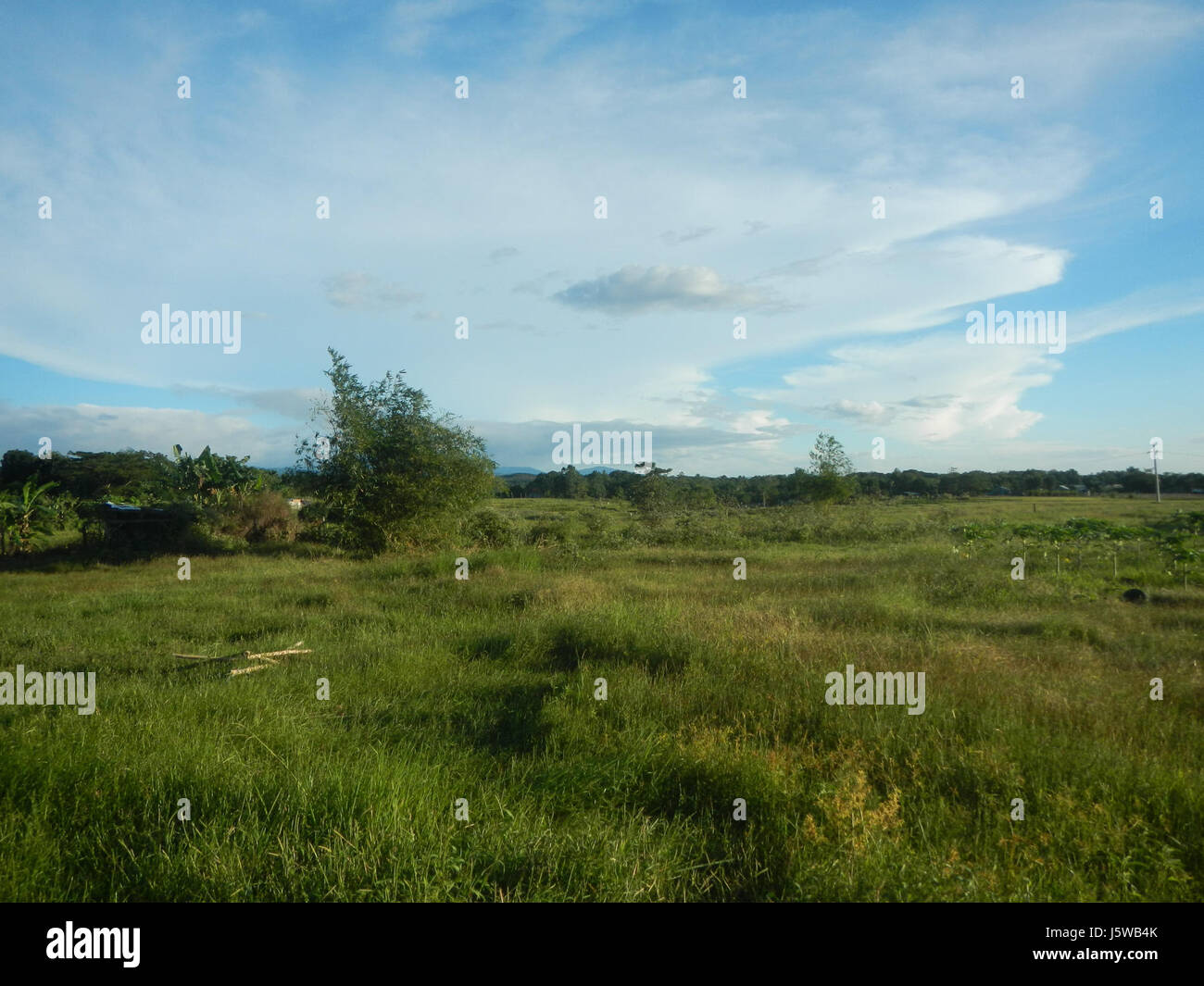 The landscape in San Ildefonso, Bulacan, is defined by paddy fields ...