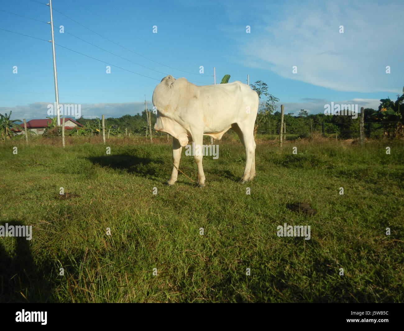 This image shows the rural landscape of San Ildefonso, Bulacan ...