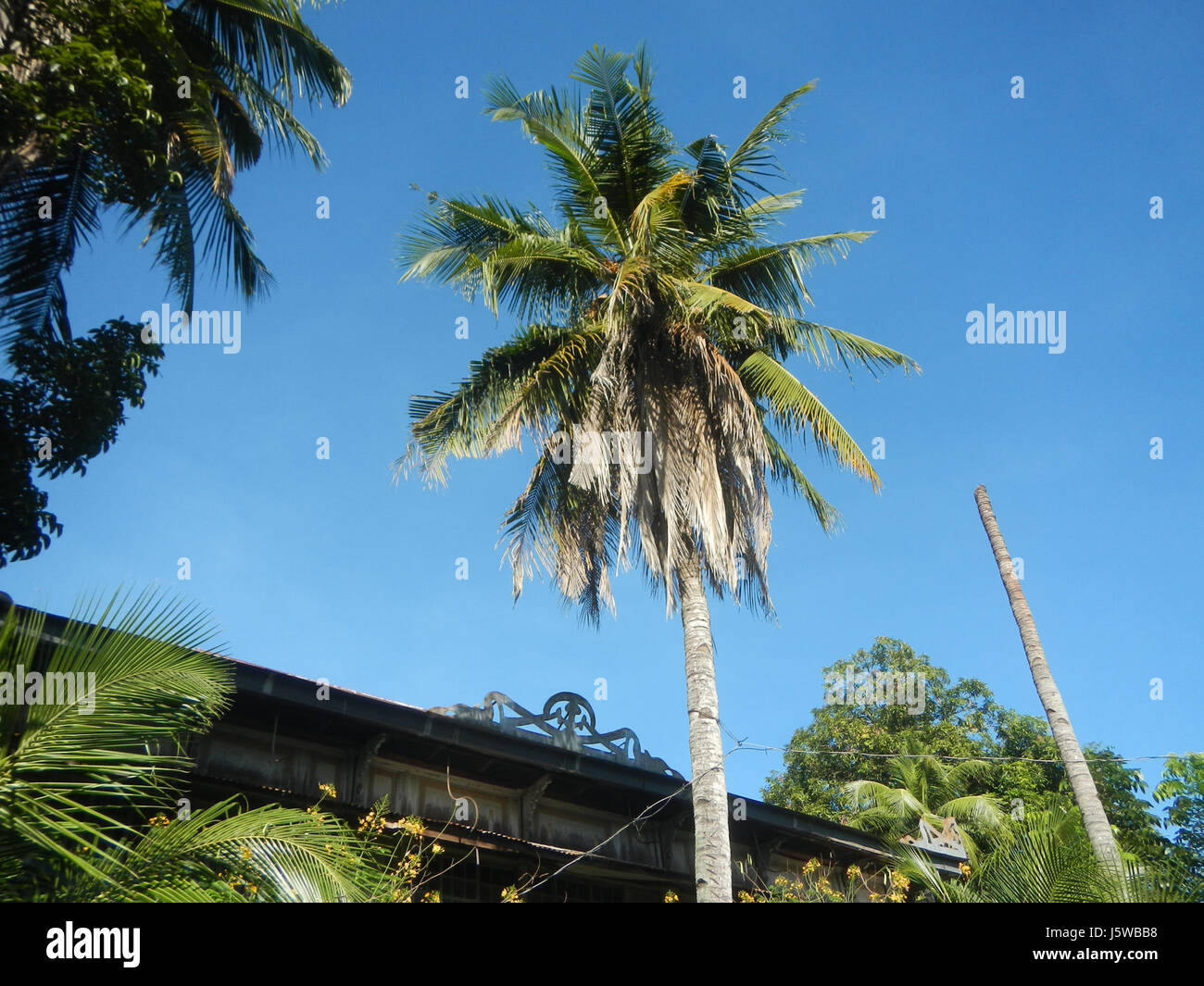 01155 Poblacion Old Houses San Vicente San Miguel Bulacan Bulacan 05 ...