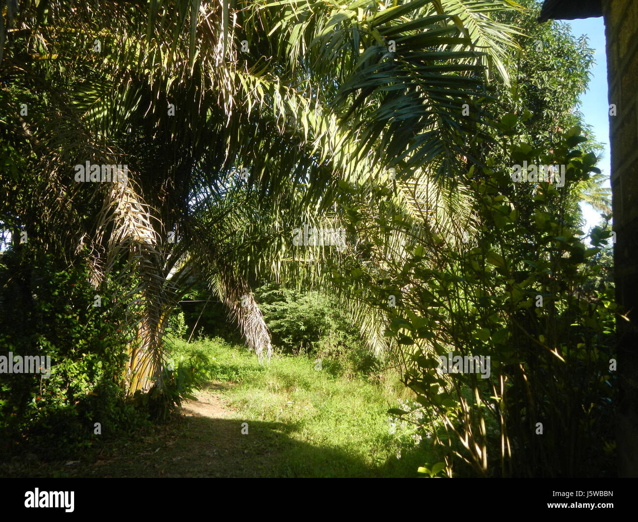 An image of the old houses in Poblacion, San Vicente, San Miguel ...